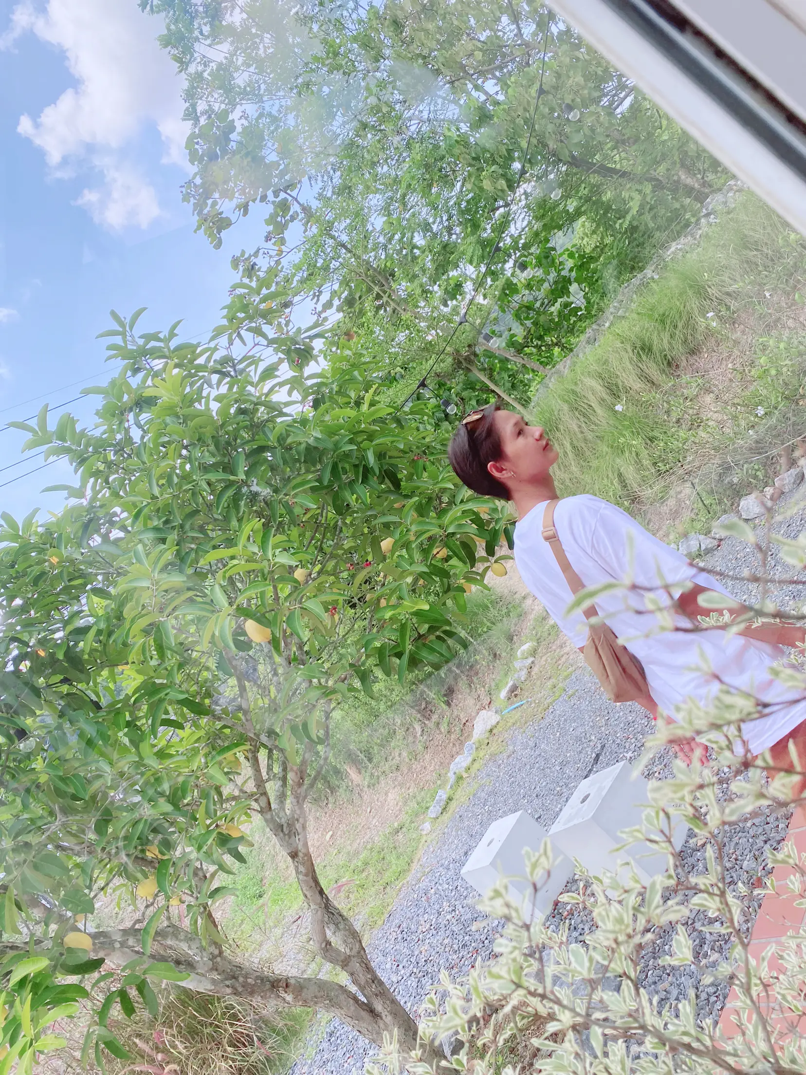 𝟚𝟚𝟝 ℂ𝕒𝕗𝕖’ ℍ𝕠𝕞𝕖𝕞𝕒𝕕𝕖 “ | แกลเลอรีที่โพสต์โดย ไปไหนดี | Lemon8