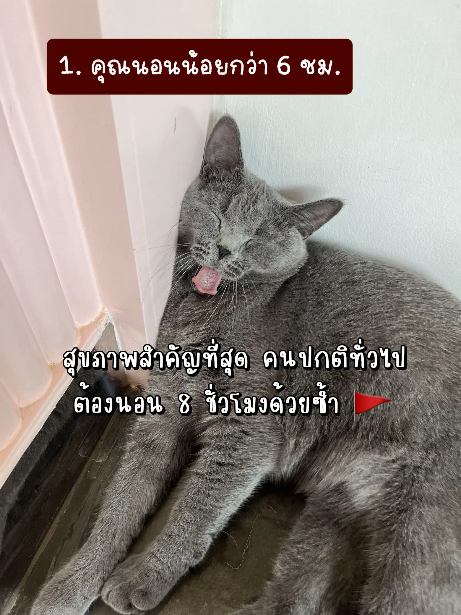 5 สัญญาณ ของงานที่ควรลาออก | แกลเลอรีที่โพสต์โดย Nuna_2000 | Lemon8