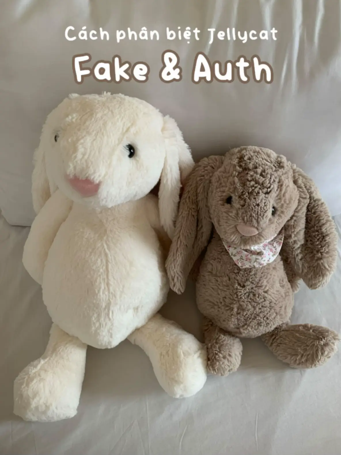 auth - Tìm kiếm trên Lemon8