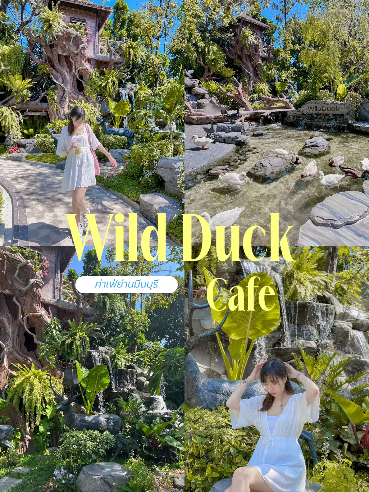คาเฟ่ย่านมีนบุรี 📍Wild Duck Cafe 🪿🦆 | แกลเลอรีที่โพสต์โดย earn 🌻 | Lemon8