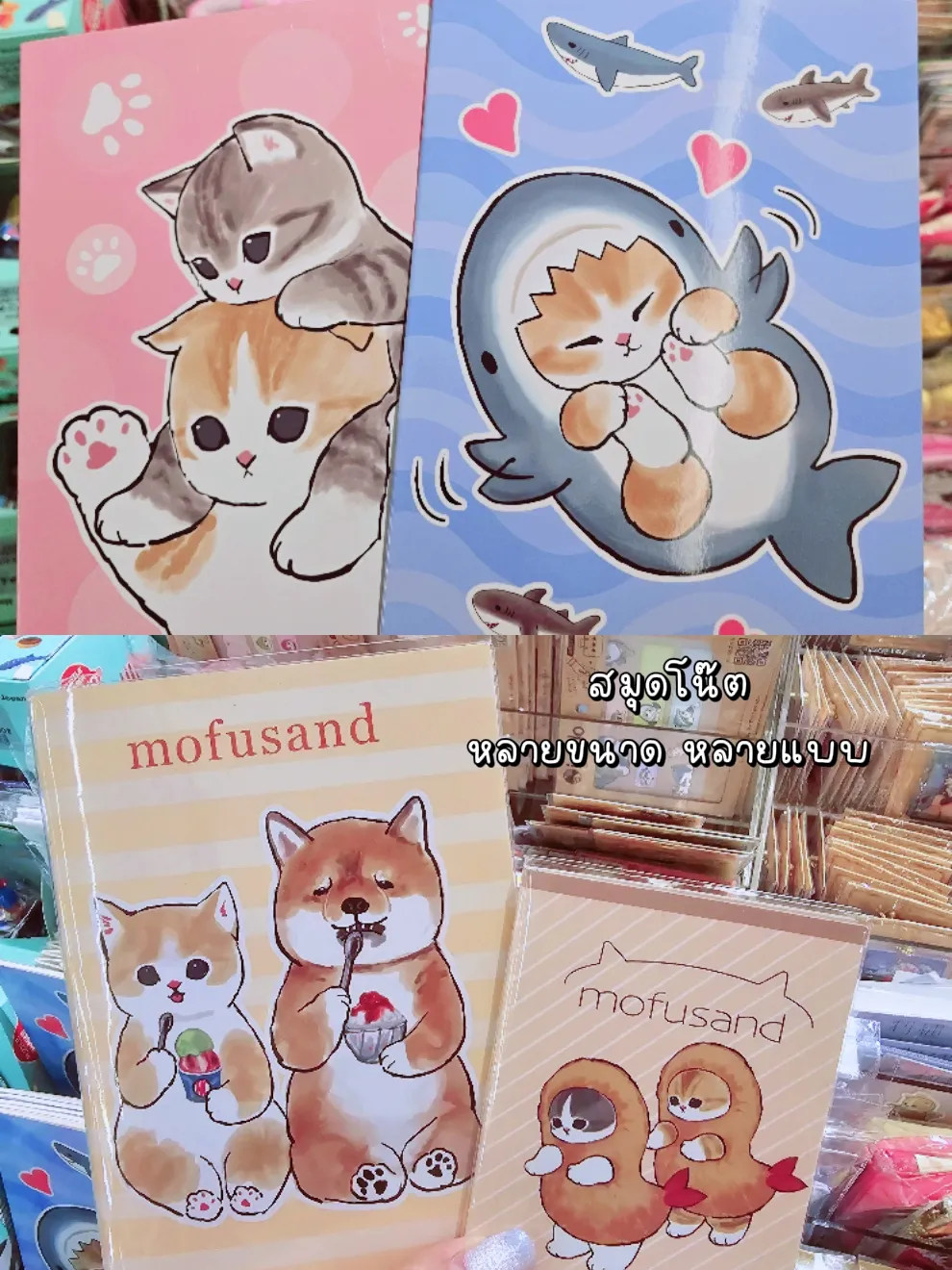 พาส่องสารพัดของกุ๊กกิ๊ก น้องแมว Mofusand 🐱 | แกลเลอรีที่โพสต์โดย im ...