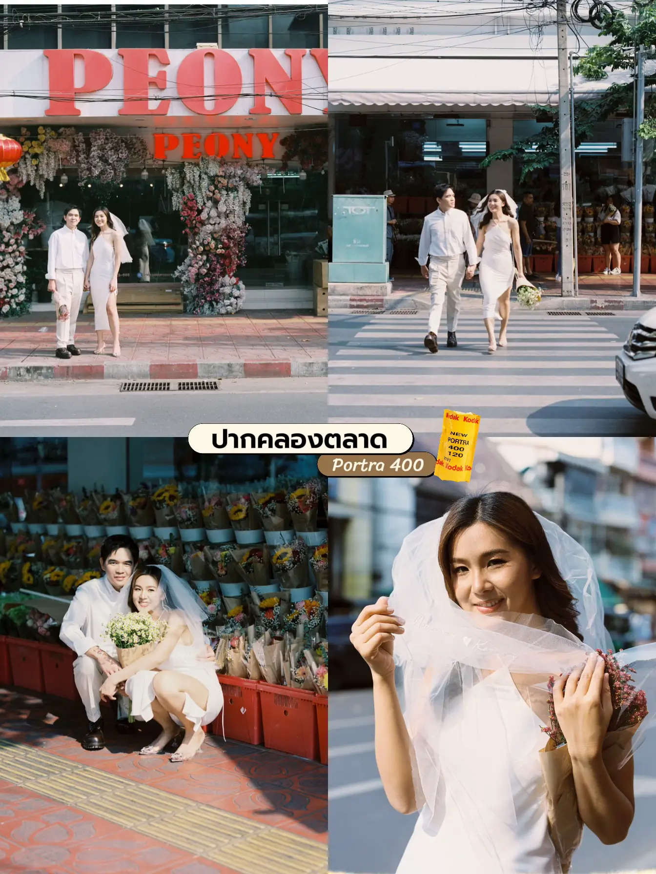 เดินเล่น ถ่ายรูป PRE-WEDDING ด้วยกล้องฟิล์ม 📸 | แกลเลอรีที่โพสต์โดย Earthtsu | Lemon8