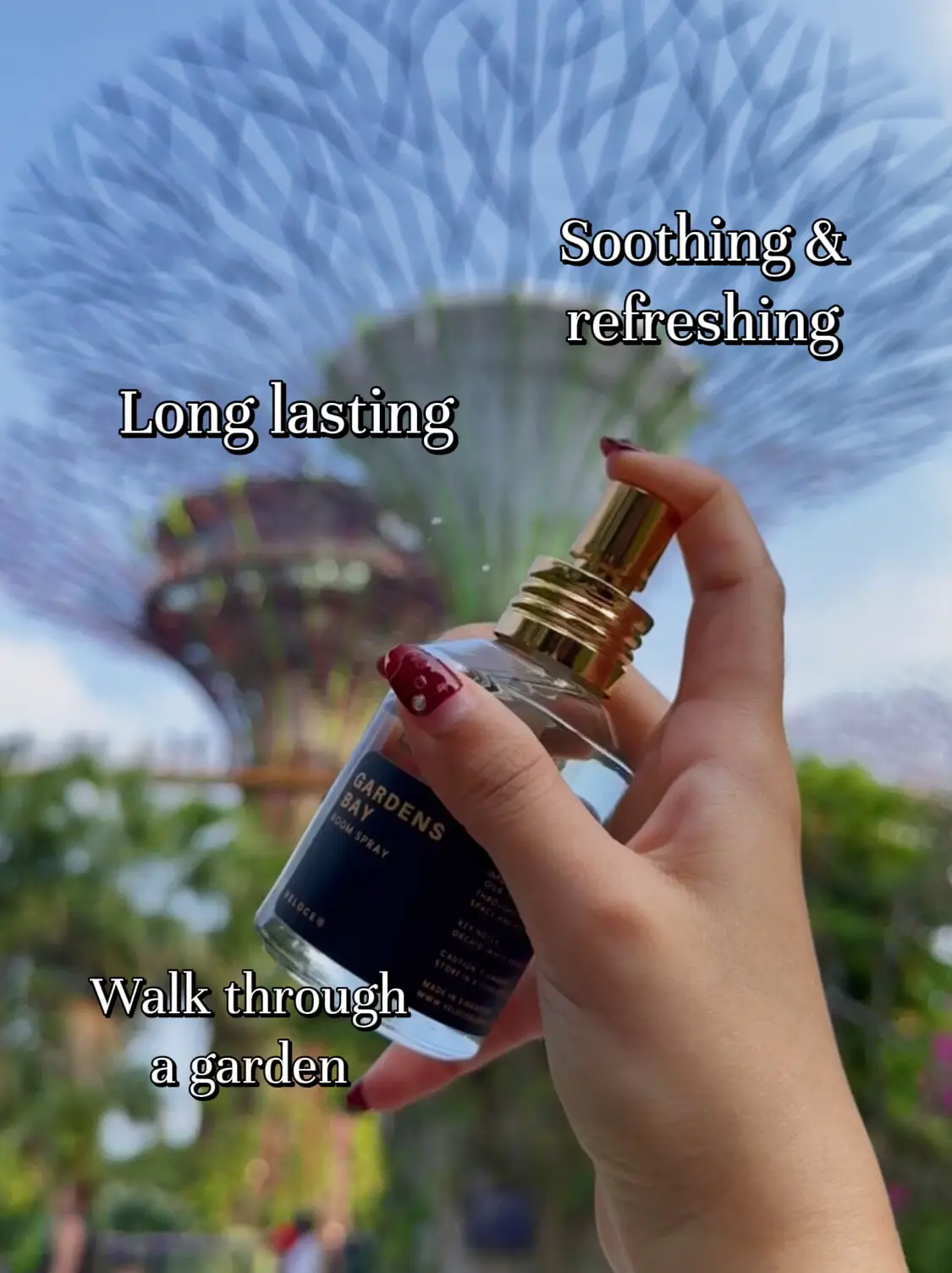 20 top Ficus Room Gardens by The Bay Rom ideas in 2024