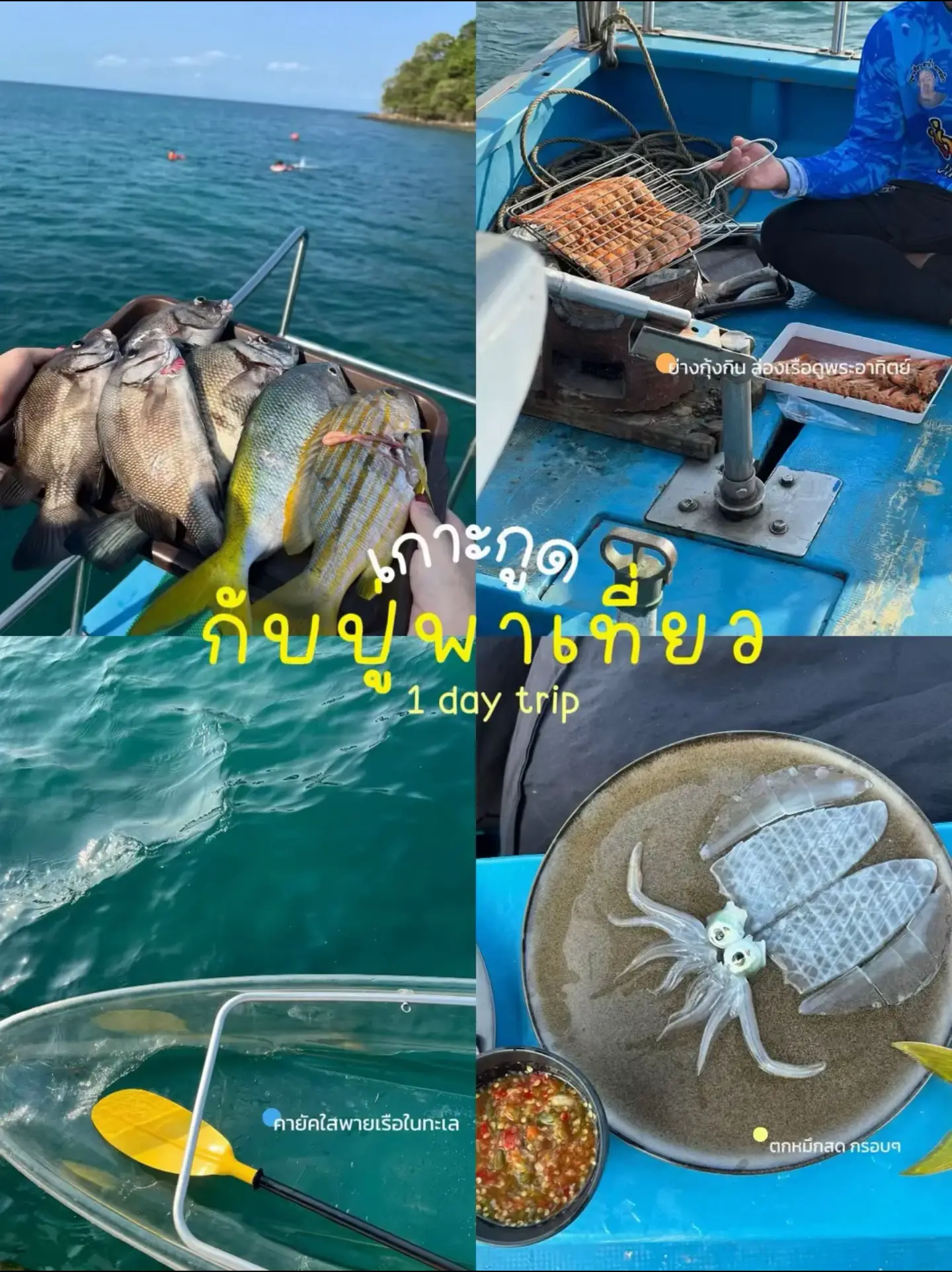 ดำน้ำกับปู่พาเที่ยว 🤿🐠 | แกลเลอรีที่โพสต์โดย Jakwa🦒 | Lemon8