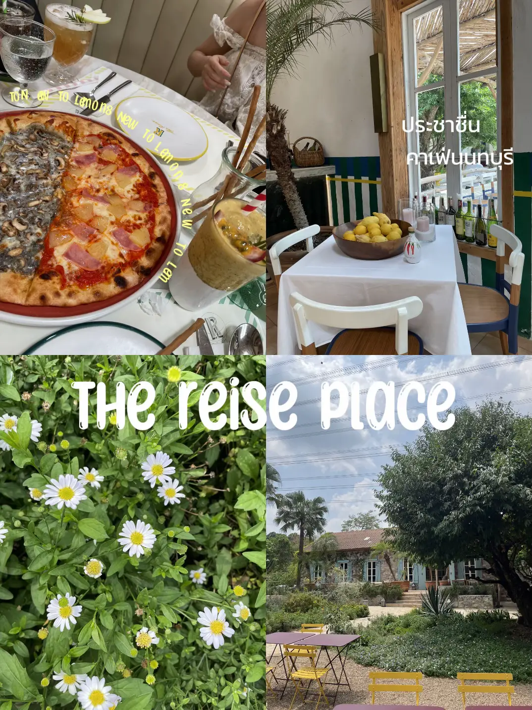 The reise 🍋 | แกลเลอรีที่โพสต์โดย Aum | Lemon8