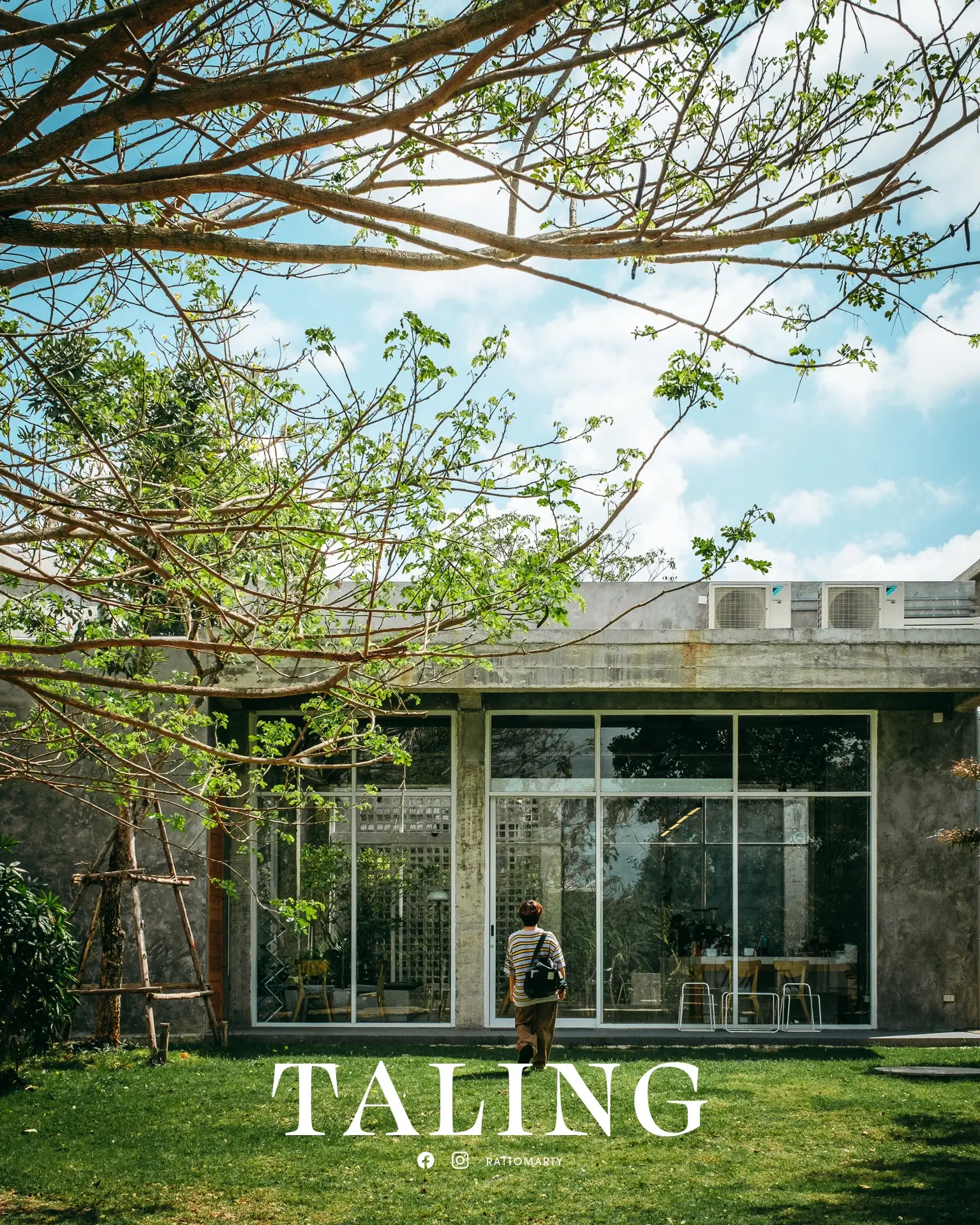 TALING คาเฟ่สวยย่านตลิ่งชัน ฟีลใกล้ชิดธรรมชาติ 🌳☕️ | แกลเลอรีที่โพสต์ ...