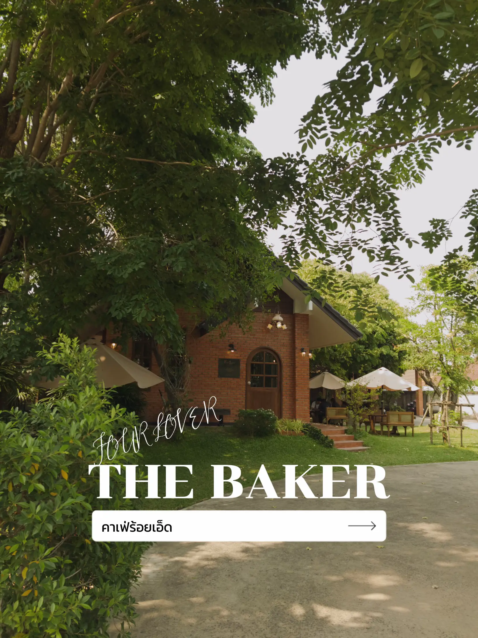 🏡Four Lover The Baker | แกลเลอรีที่โพสต์โดย THE NANNIE | Lemon8