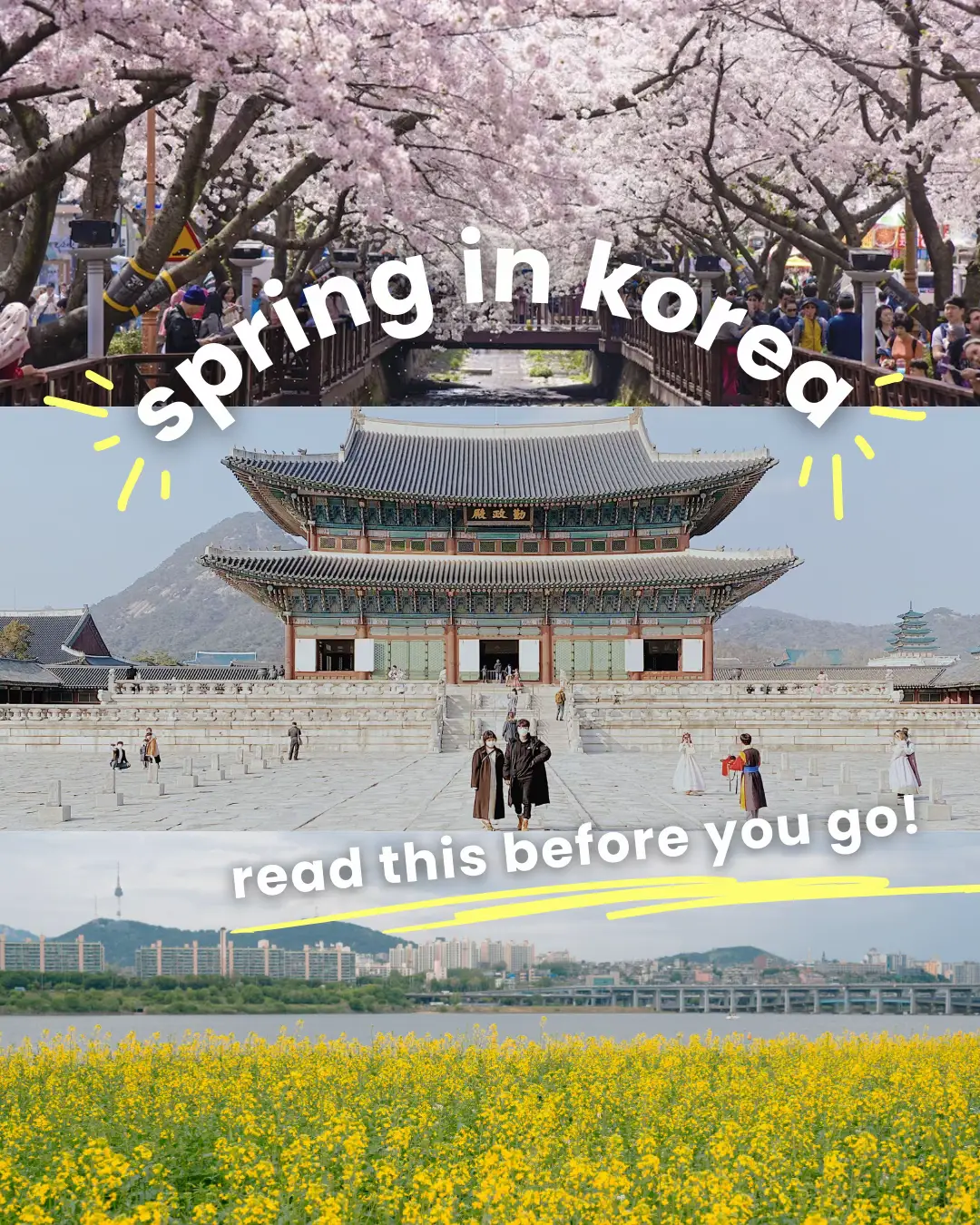 🇰🇷🌸 Going to Korea this spring? This is for you! | Gallery posted by ...