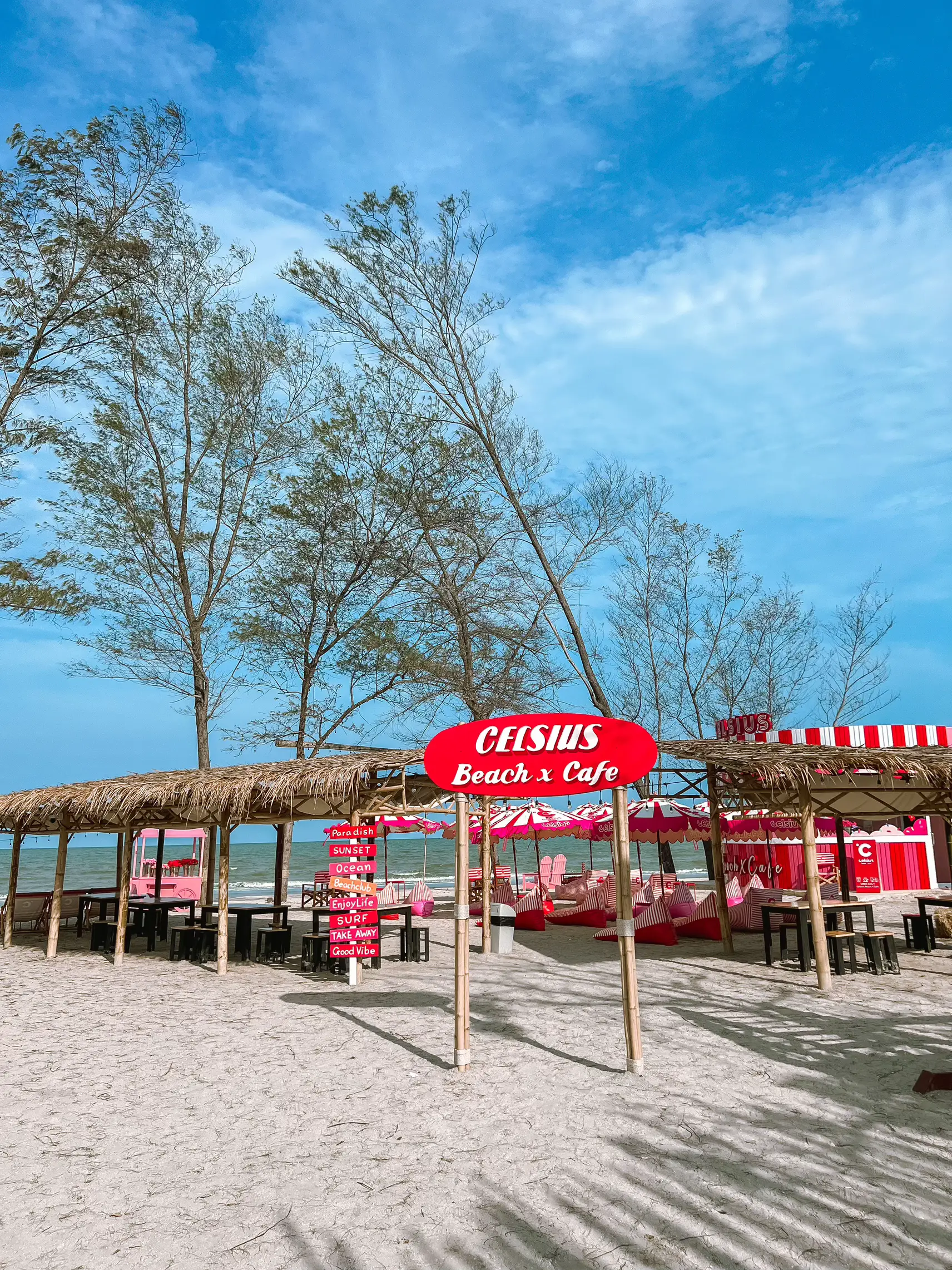 𝘊𝘦𝘭𝘴𝘪𝘶𝘴 𝘣𝘦𝘢𝘤𝘩 𝘹 𝘤𝘢𝘧𝘦 คาเฟ่ติดทะเล ชะอำ 𓐇 🏖️🍒 ️ 𓐄 | แกลเลอรีที่โพสต์โดย ...