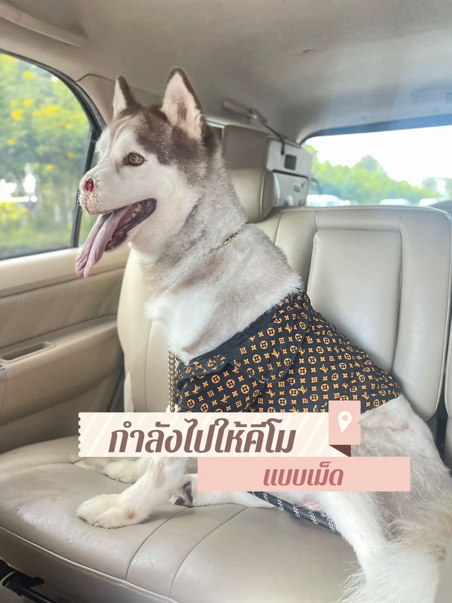 EP.3 | แกลเลอรีที่โพสต์โดย Pueng | Lemon8