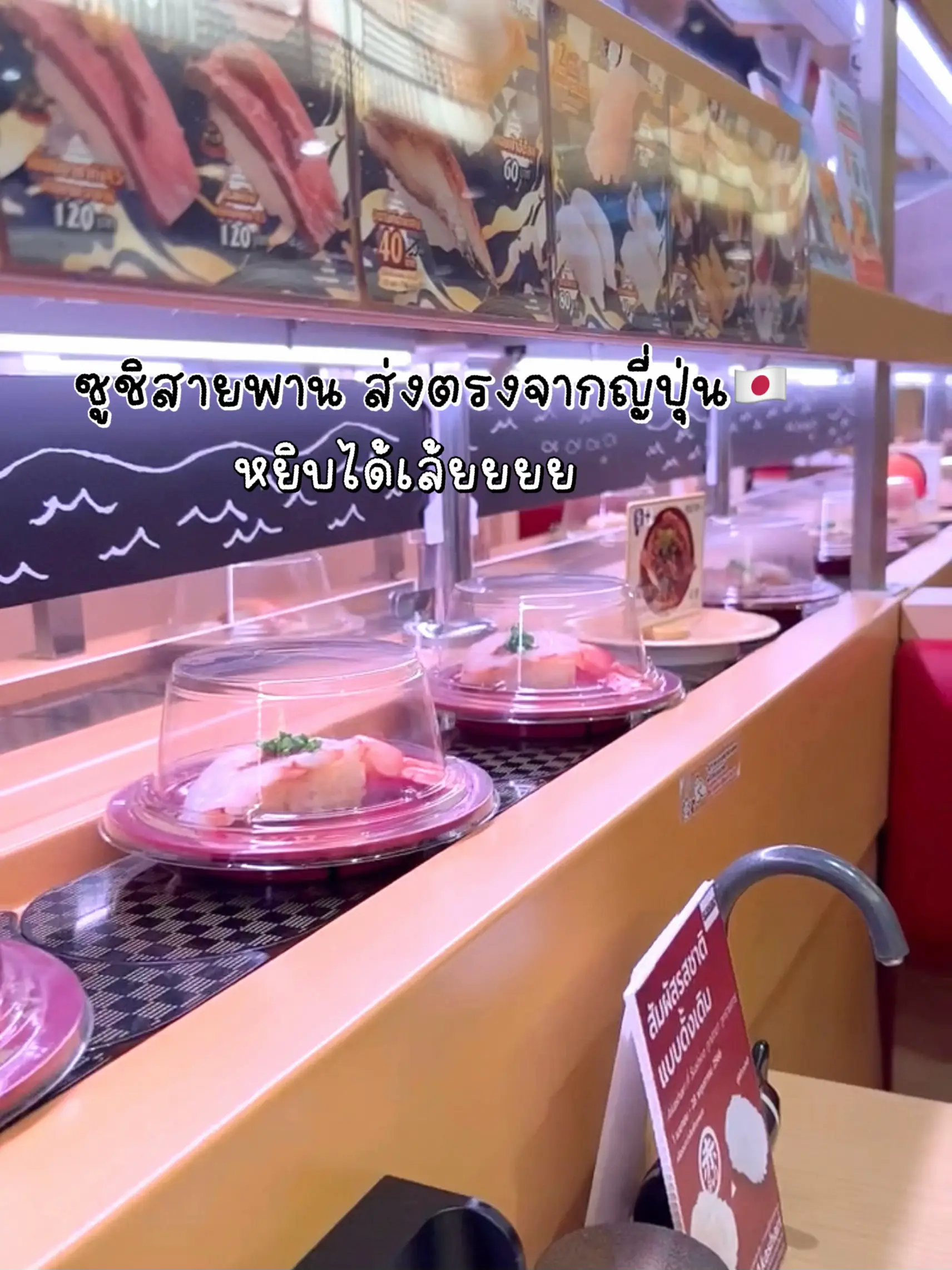 กิน Sushiro คนเดียวหมดกี่บาท ถึงอิ่ม | แกลเลอรีที่โพสต์โดย guneweenz 🦋 | Lemon8