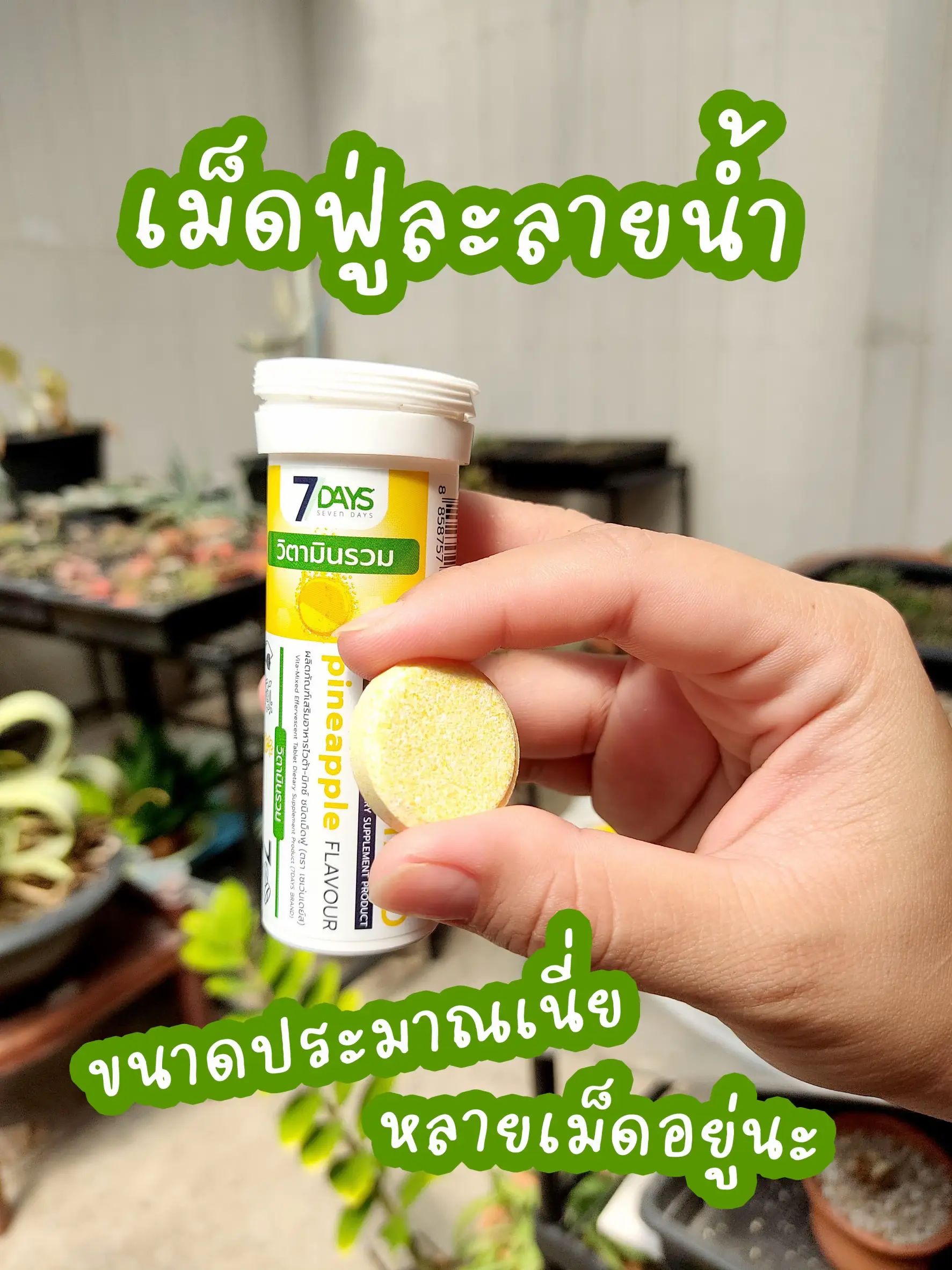วิตามิน Biocap ดีไหม - การค้นหาใน Lemon8