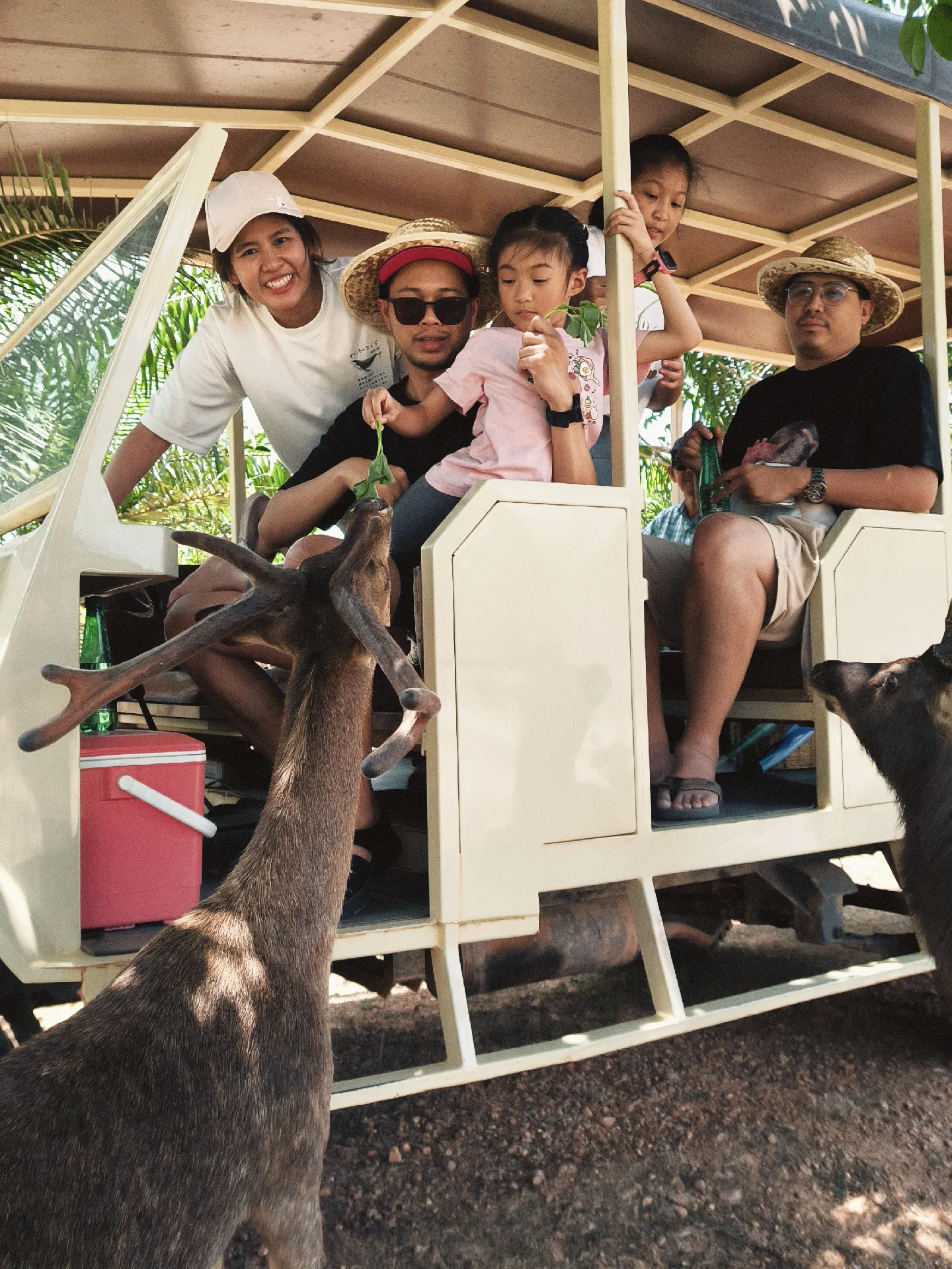 CERVIDAE เซอร์วิเด จังหวัดตรัง | แกลเลอรีที่โพสต์โดย pinto vor | Lemon8