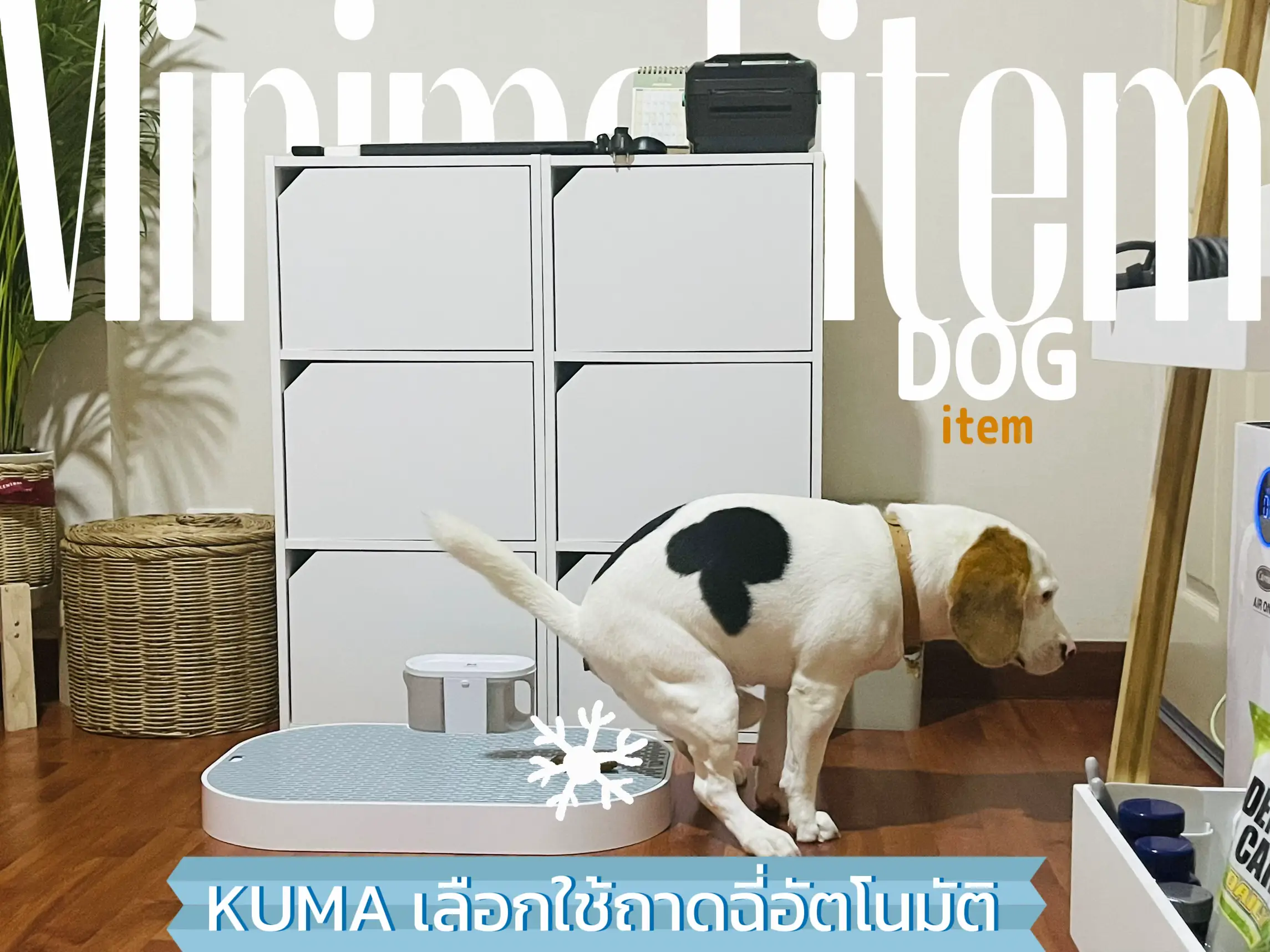 KUMA ใช้ดี บอกต่อ ถาดฉี่อัตโนมัติ | แกลเลอรีที่โพสต์โดย Beagle-Kuma ...