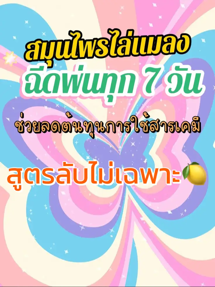 สมุนไพรไล่แมลง | แกลเลอรีที่โพสต์โดย PloyPloy | Lemon8