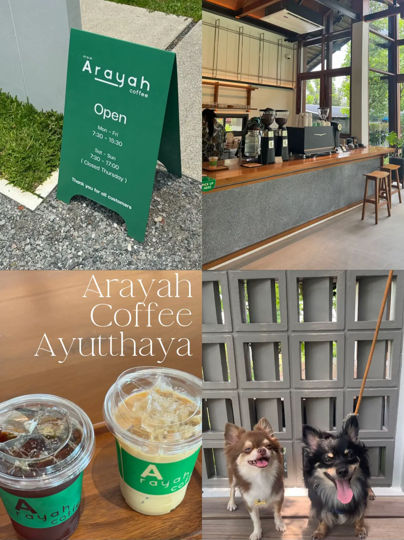 ARA COFFEE🩵 | แกลเลอรีที่โพสต์โดย อีฟไม่กินผัก🐷 | Lemon8