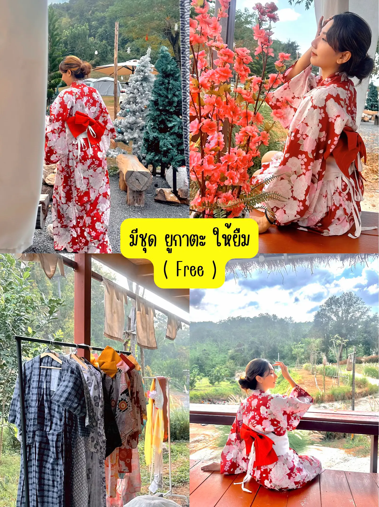 เก็บเป๋าแล้วโก EP.9 : Hoshi Hidden Camp [สระบุรี] 🐶 | แกลเลอรีที่โพสต์ ...