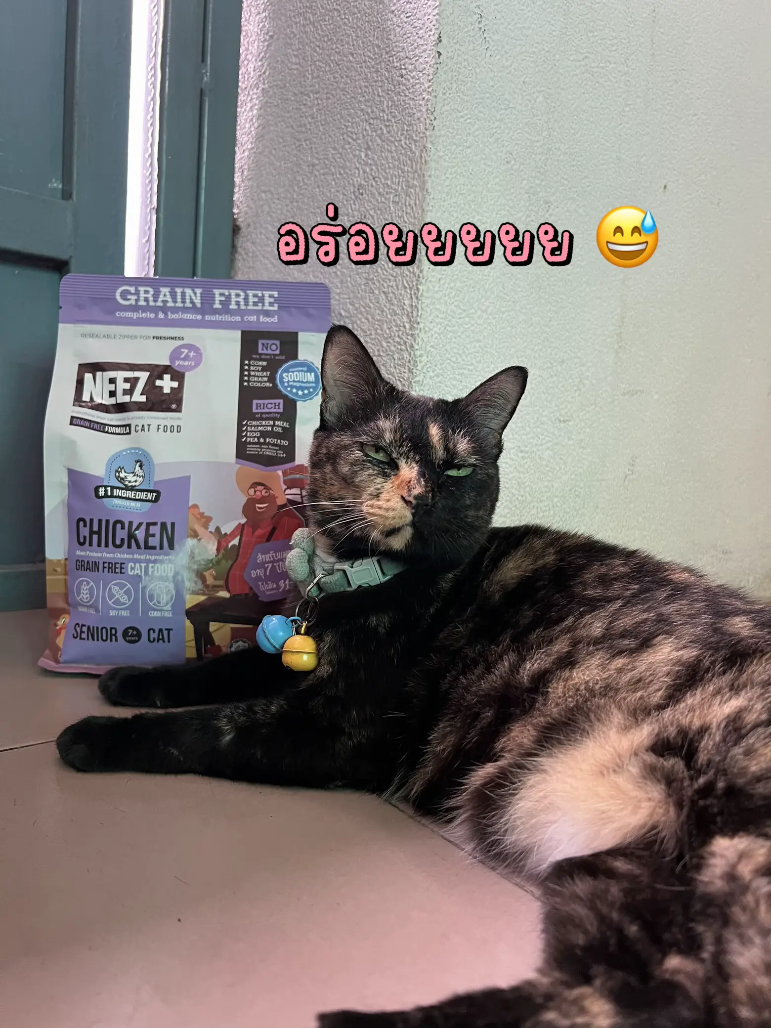 มืดมิดเปลี่ยนอาหารอีกแล้วจ้า NEEZ + | แกลเลอรีที่โพสต์โดย SANDEE ...