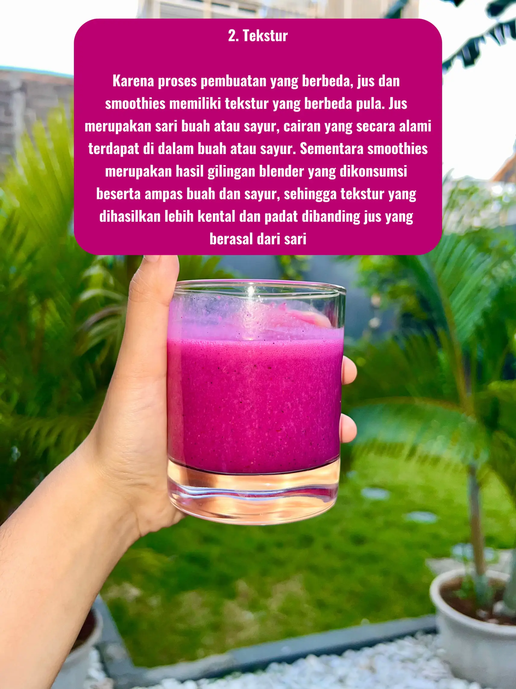 Pilih Jus Atau Smoothie? Mana yang Terbaik? 🤔 | Galeri diposting oleh maireekat | Lemon8