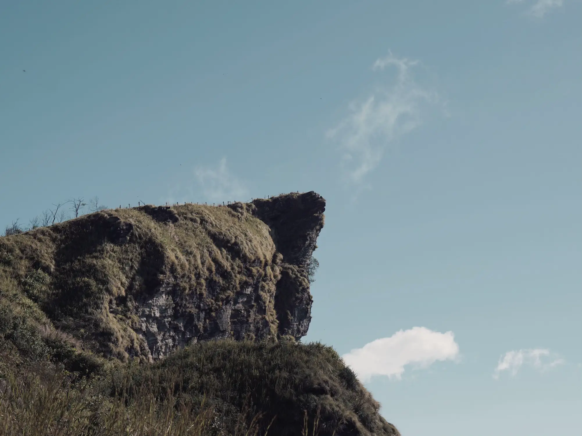 ภูชี้ดาว 2 วัน 1 คืน | แกลเลอรีที่โพสต์โดย T ToTo | Lemon8