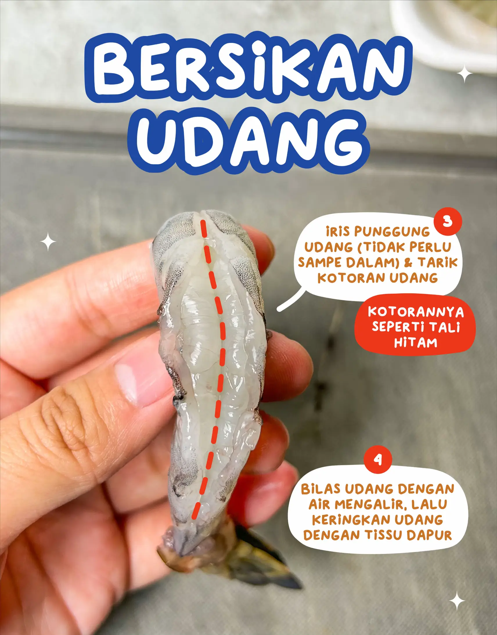 Cara pilih UDANG SEGAR!🦐 Bisa masak EBI FURAI🍛🍤 | Galeri diposting oleh ...