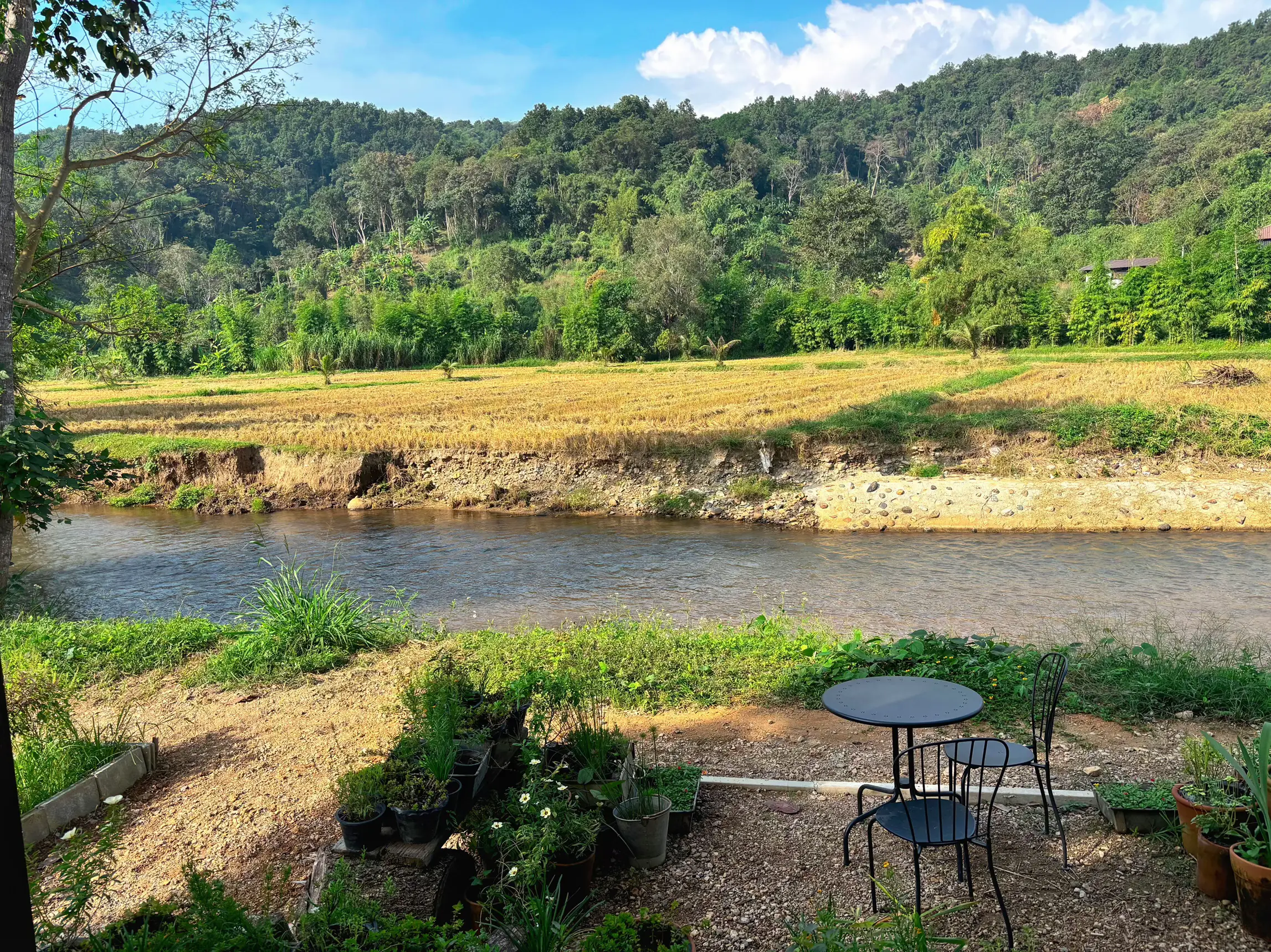 ฟาร์มสเตย์สุดชิลที่สิรินทร์ ฟาร์ม เชียงราย 🌱
