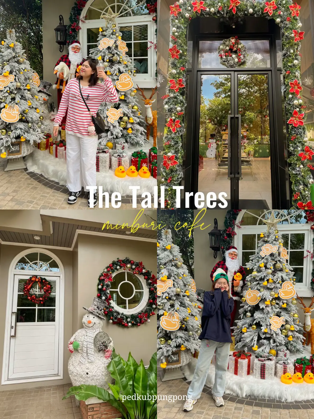 The Tall Trees📍minburi cafe | แกลเลอรีที่โพสต์โดย มารินกิมา🐻 | Lemon8