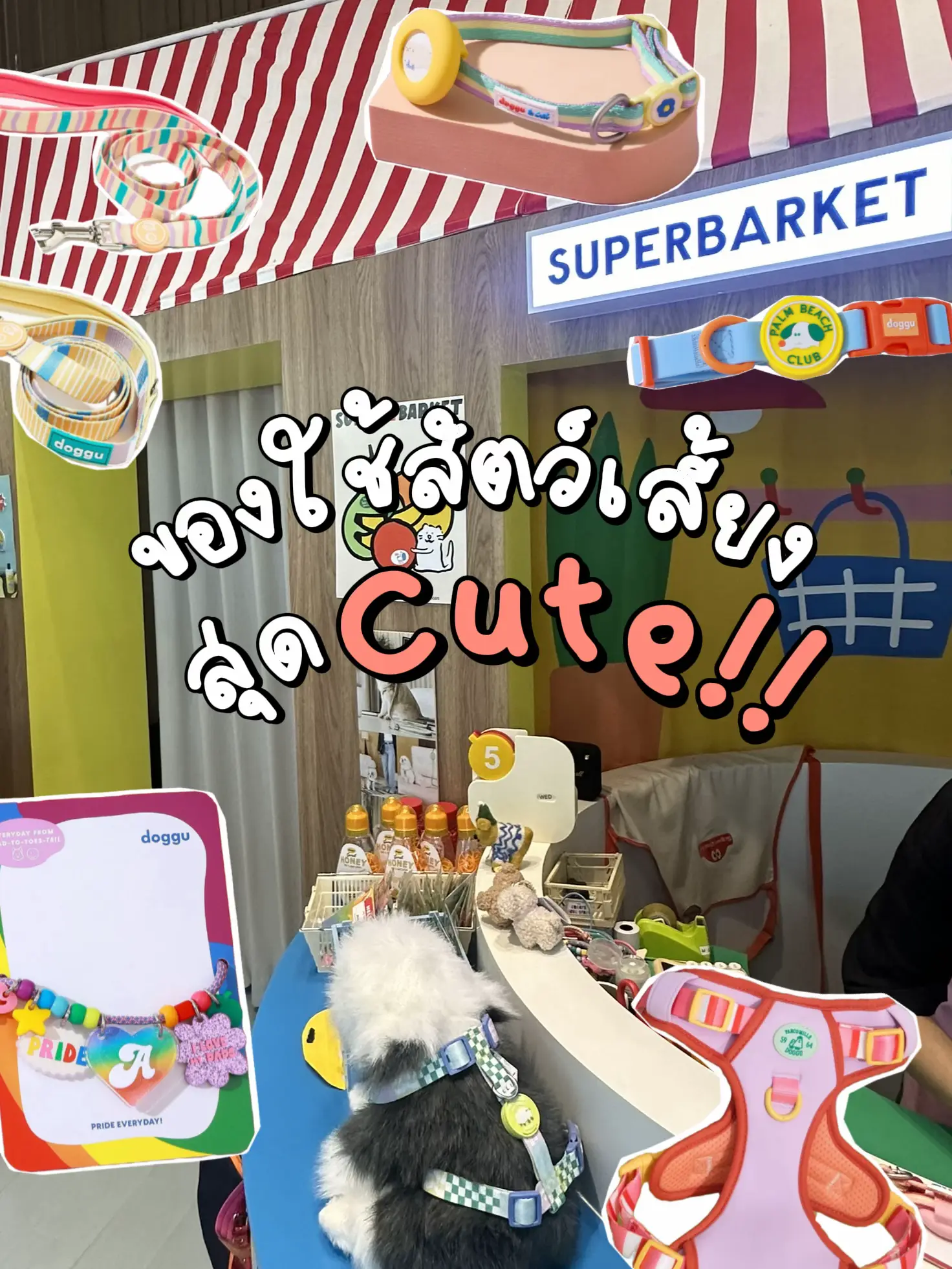 พิกัดร้าน ของใช้สัตว์เลี้ยงสุด Cute!! 🐱🐶 ย่านเจริญนคร | แกลเลอรีที่ ...