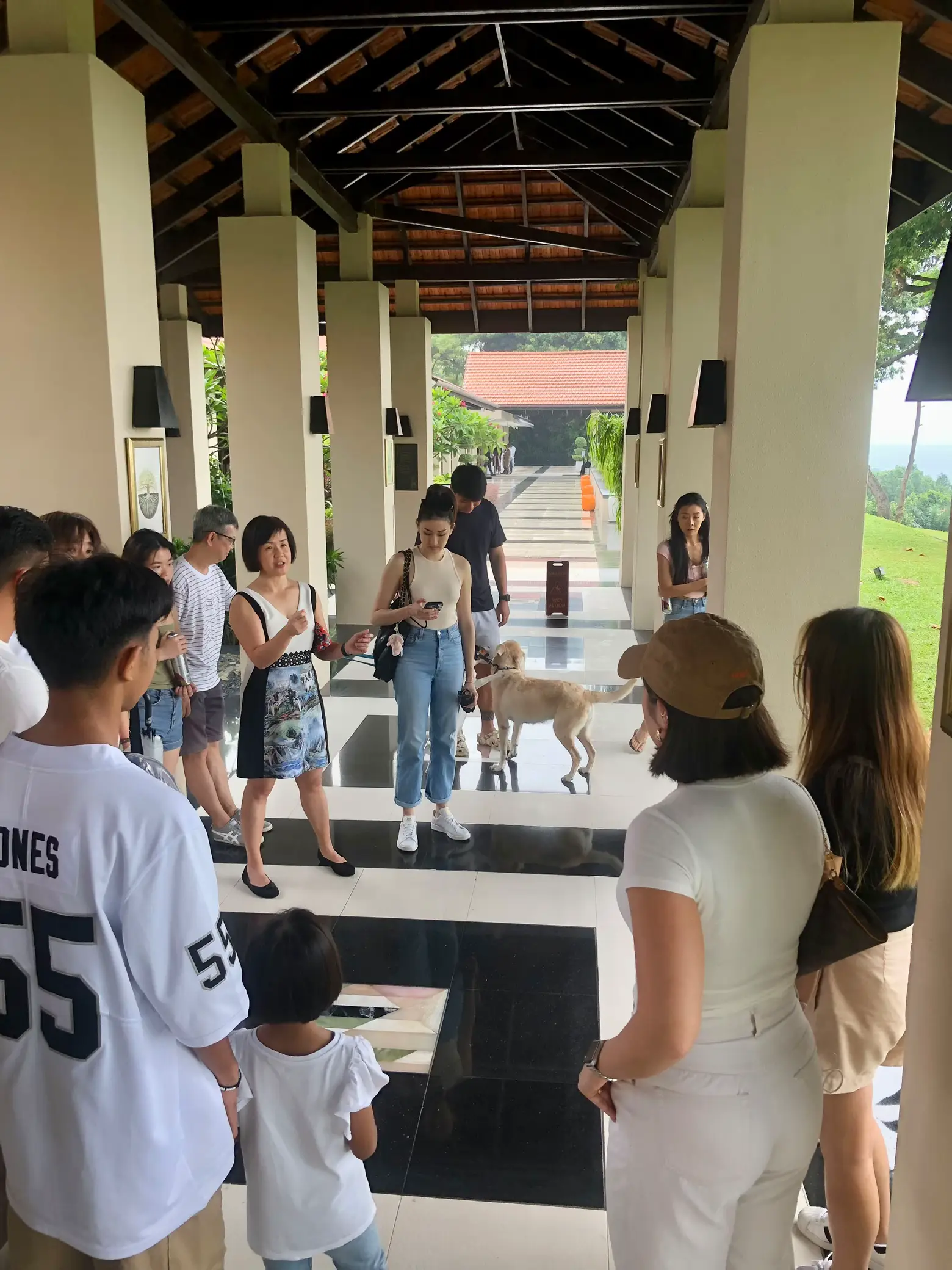 GTFO(Get the Fun Out)!! | Gallery posted by Pet Times Asia | Lemon8