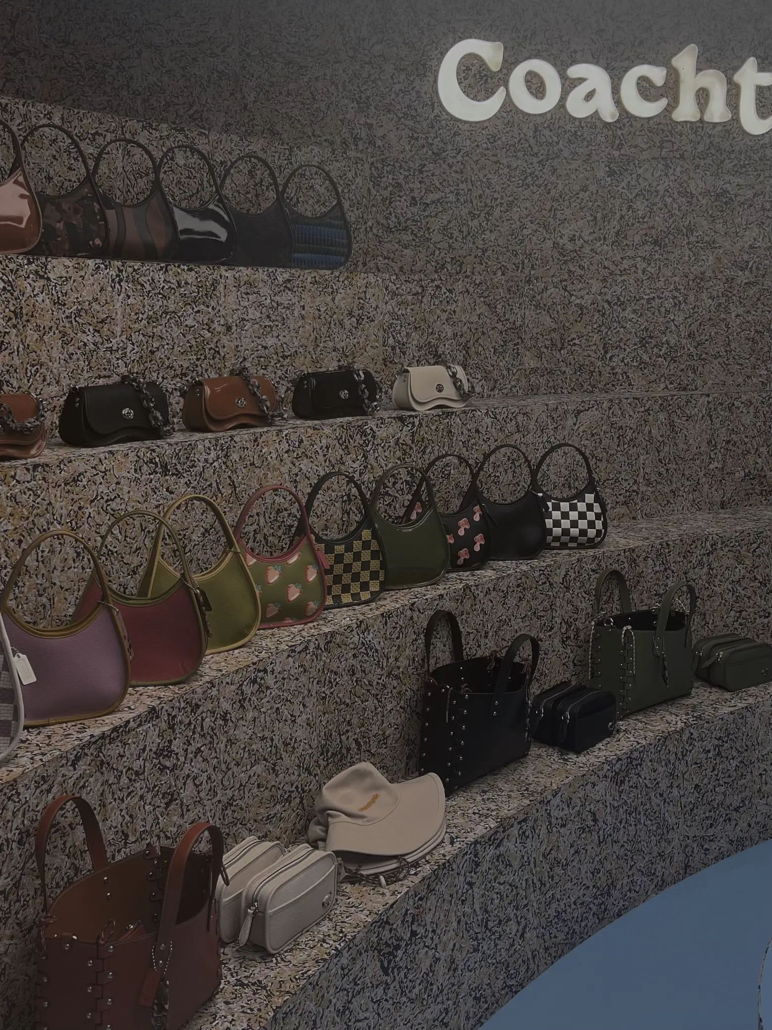 visiting coach’s sustainable line, coachtopia ♻️ | Gallery posted by ୨୧ ...