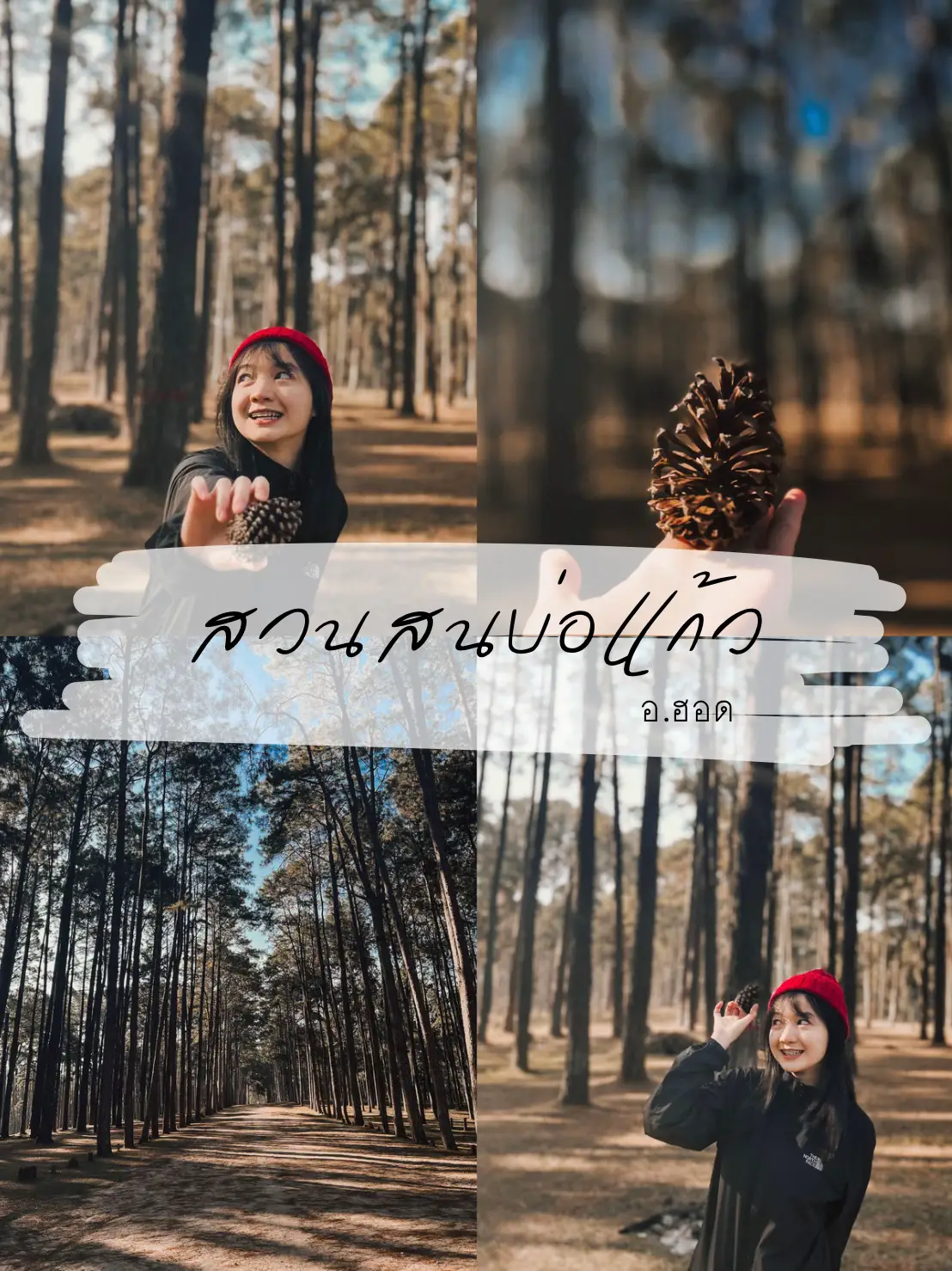 รวมสถานที่เที่ยวแนวธรรมชาติจังหวัดเชียงใหม่ที่ไปแล้วประทับเวอร์ | แกลเลอรีที่โพสต์โดย Anusara ...