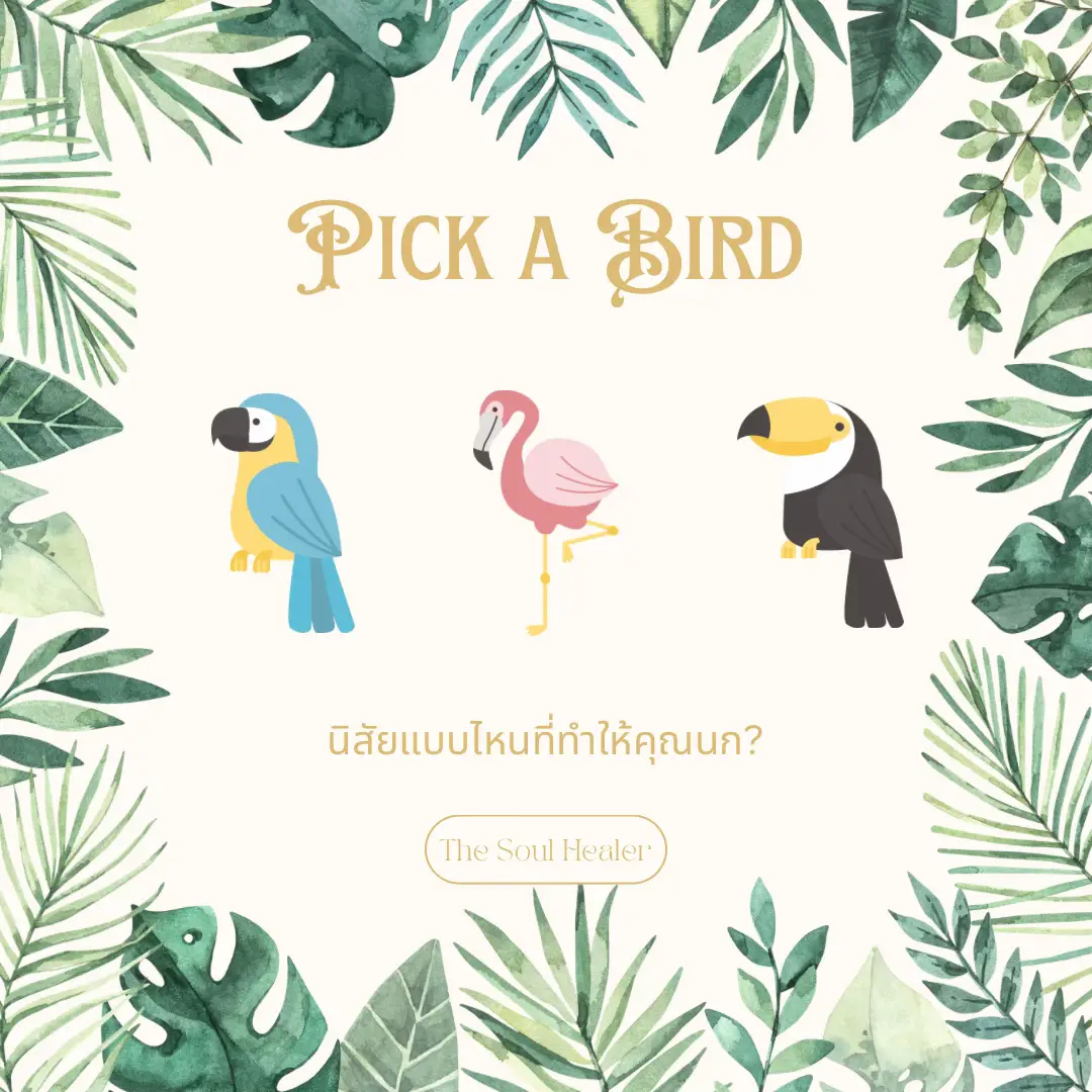 🦚Pick a Bird🦚 นิสัยแบบไหนที่ทำให้คุณนก? | แกลเลอรีที่โพสต์โดย The Soul ...