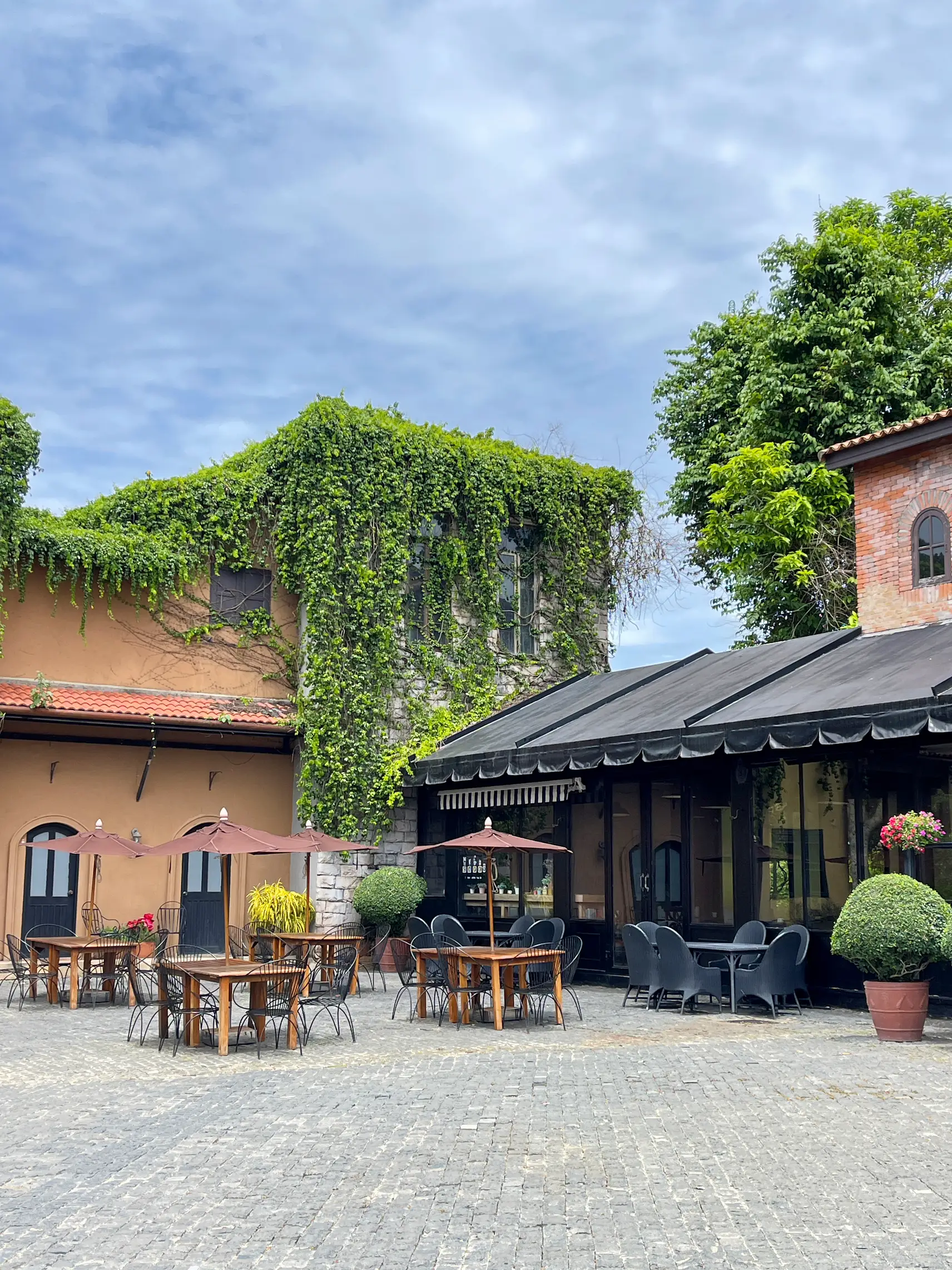 Primo Piazza Khaoyai: Primo Fiazza Big Horn | Gallery posted by arra ...