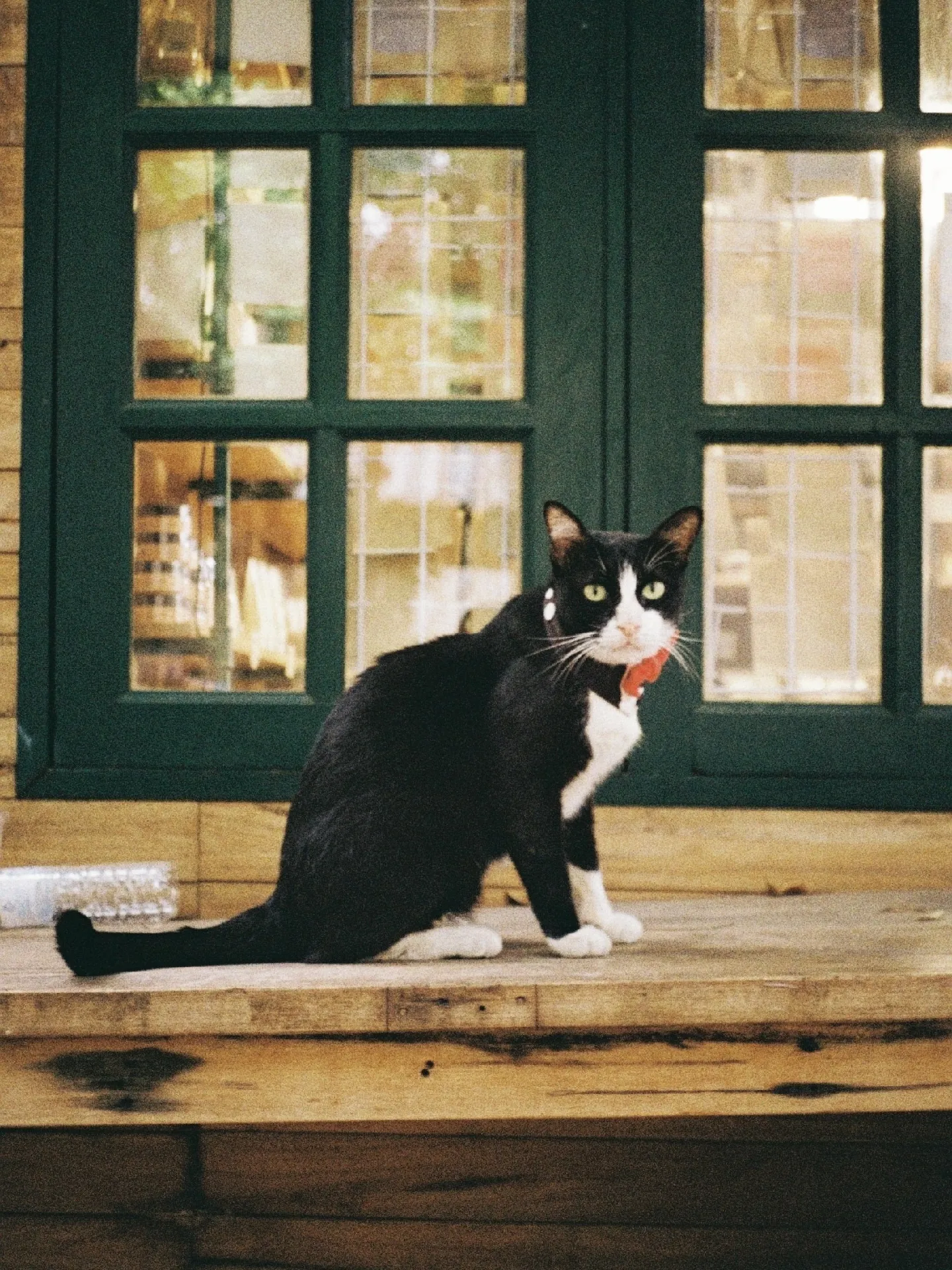 Canon Demi Half-Frame Camera 📸 | แกลเลอรีที่โพสต์โดย Nessnap 📸 | Lemon8