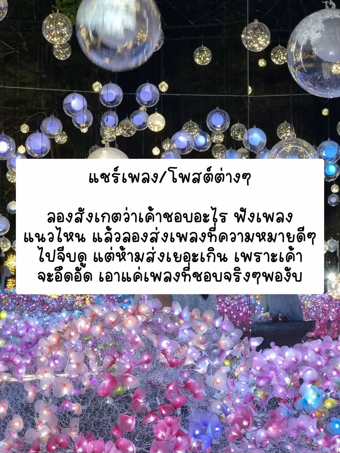 Wanderwoods. | แกลเลอรีที่โพสต์โดย เบนซ์ 🌻 | Lemon8
