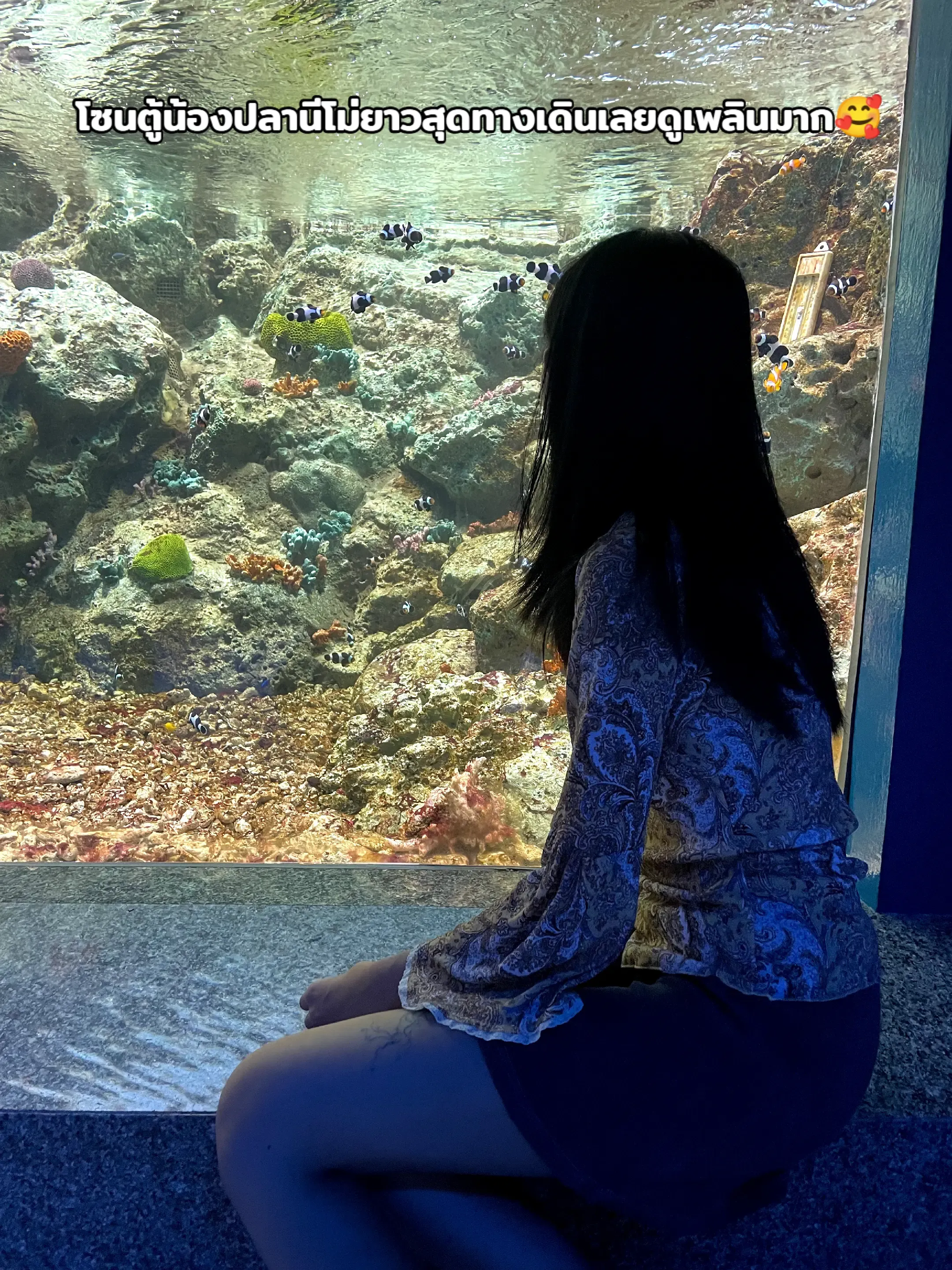 ไปอควาเรียมบางเเสนด้วยรถตู้กันเถอะ🐬🚌 | แกลเลอรีที่โพสต์โดย NTK:ShareTrips | Lemon8