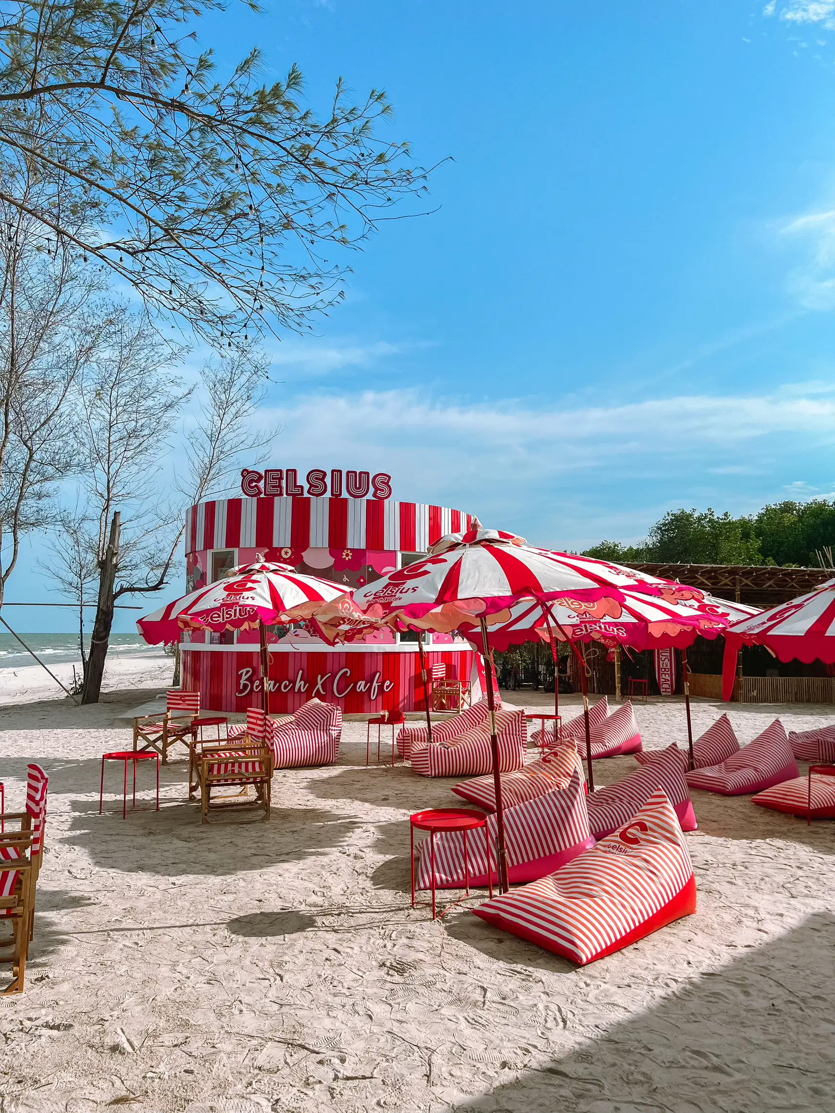 𝘊𝘦𝘭𝘴𝘪𝘶𝘴 𝘣𝘦𝘢𝘤𝘩 𝘹 𝘤𝘢𝘧𝘦 คาเฟ่ติดทะเล ชะอำ 𓐇 🏖️🍒 ️ 𓐄 | แกลเลอรีที่โพสต์โดย ...