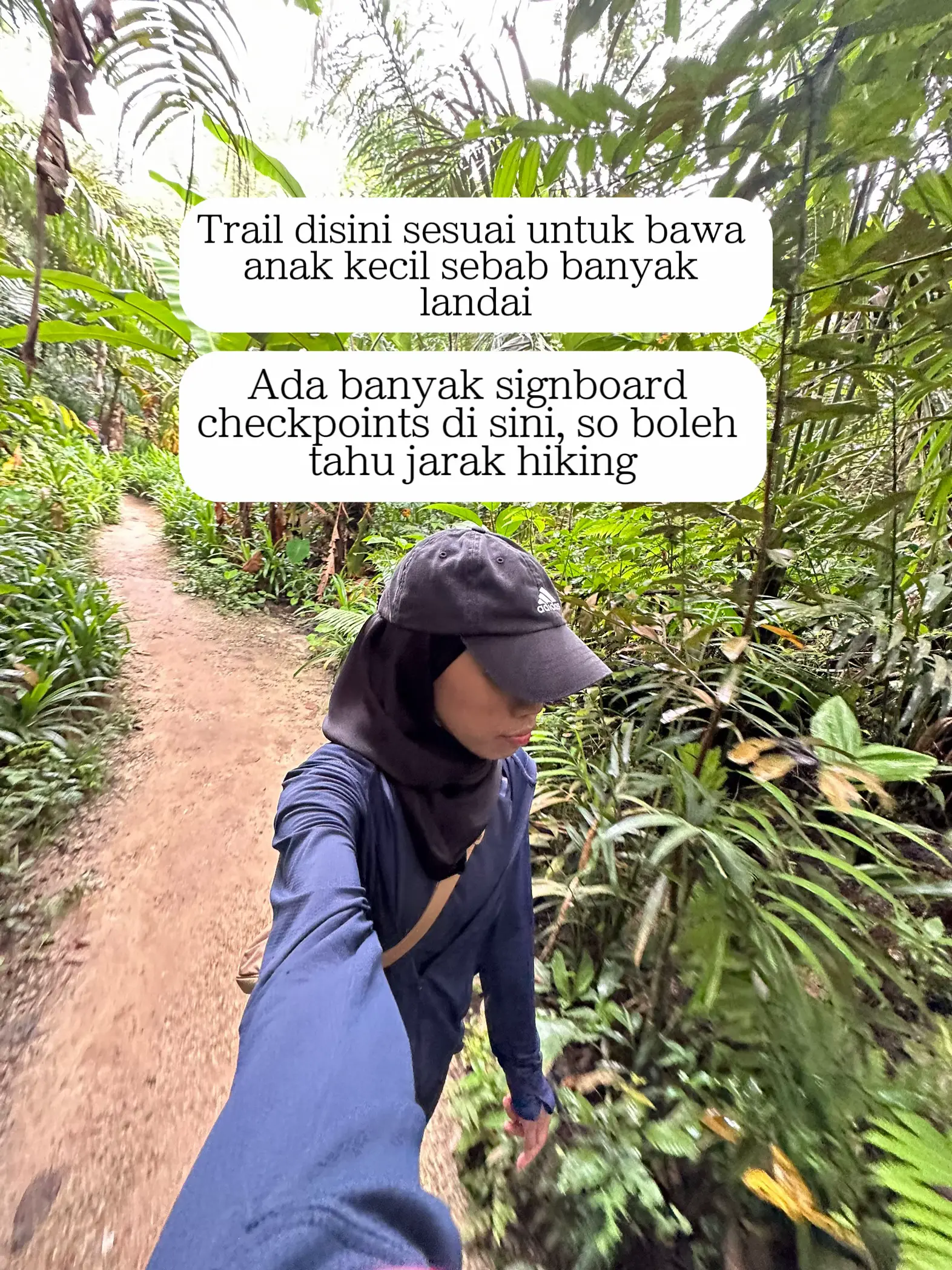 Beginners Hike | Taman Tugu Hike Trail | Galeri disiarkan oleh hanacameraroll | Lemon8