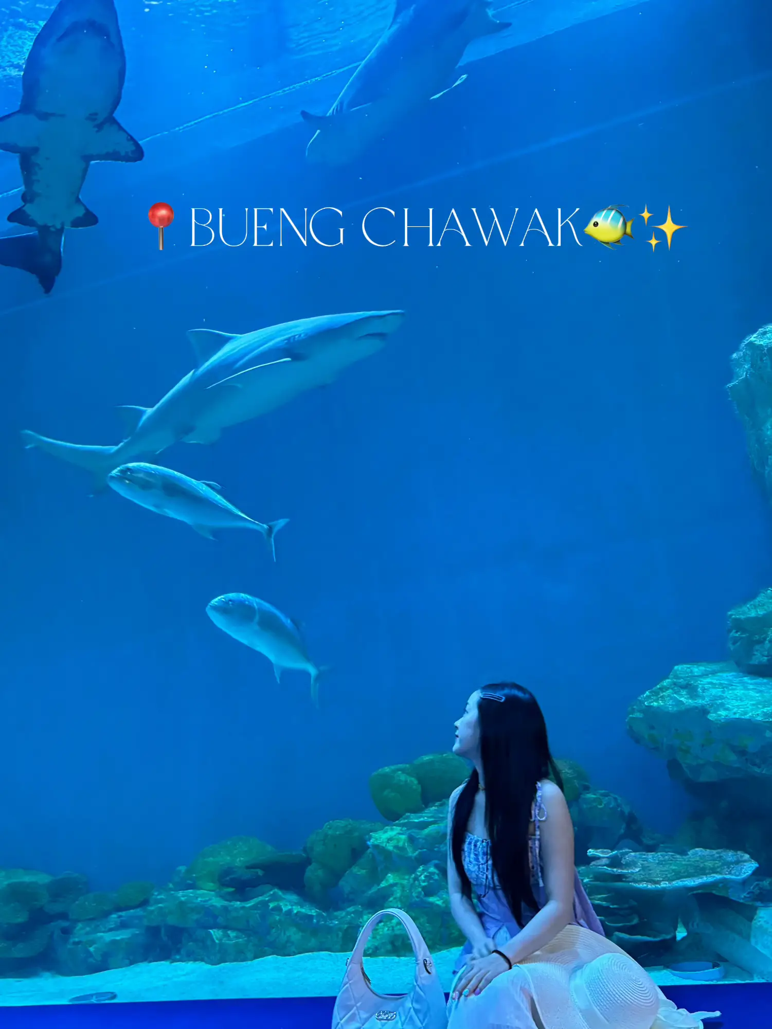 📍Bueng Chawak🐠 | แกลเลอรีที่โพสต์โดย Ployprary | Lemon8