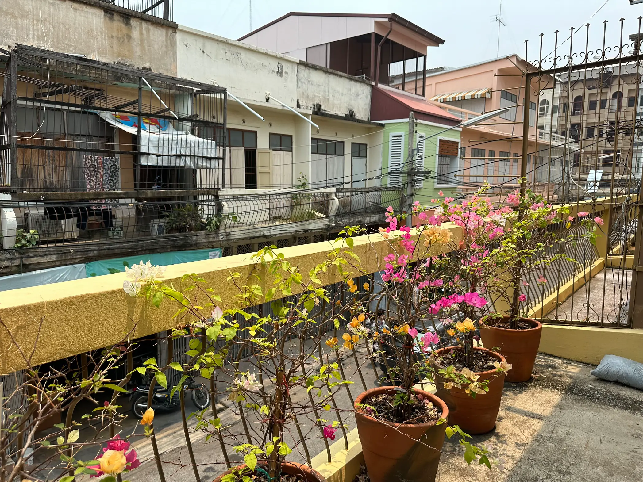 คาเฟ่ฮีลใจ | แกลเลอรีที่โพสต์โดย so-so | Lemon8