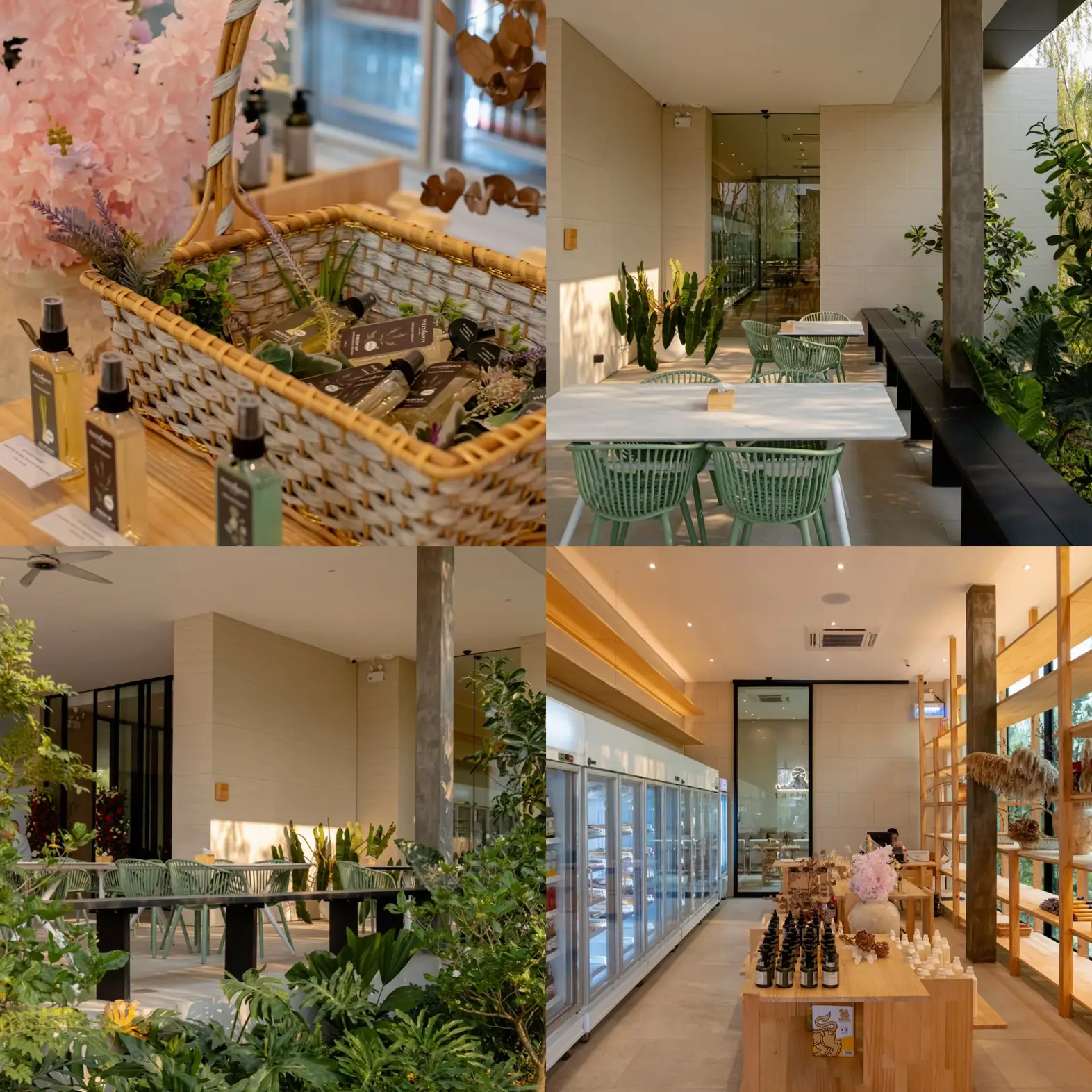 Tarine 🌳🍃☕️ | แกลเลอรีที่โพสต์โดย คาเฟ่ไปเรื่อย | Lemon8