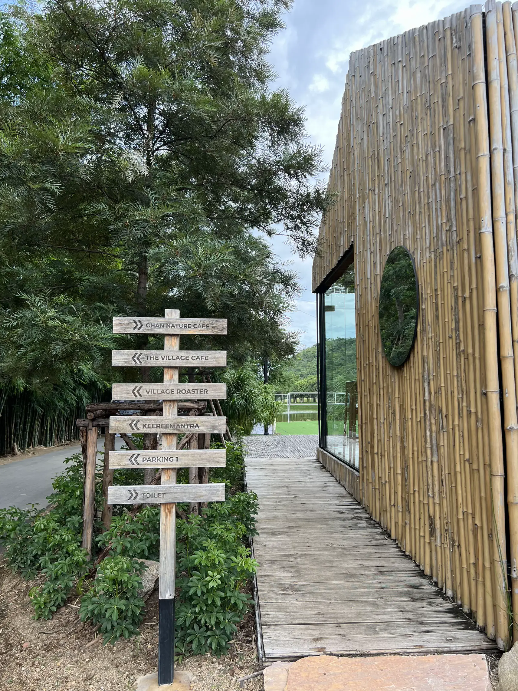 20 ไอเดียยอดนิยมเกี่ยวกับ เบียร์ Budweiser 7-11 ในปี 2024