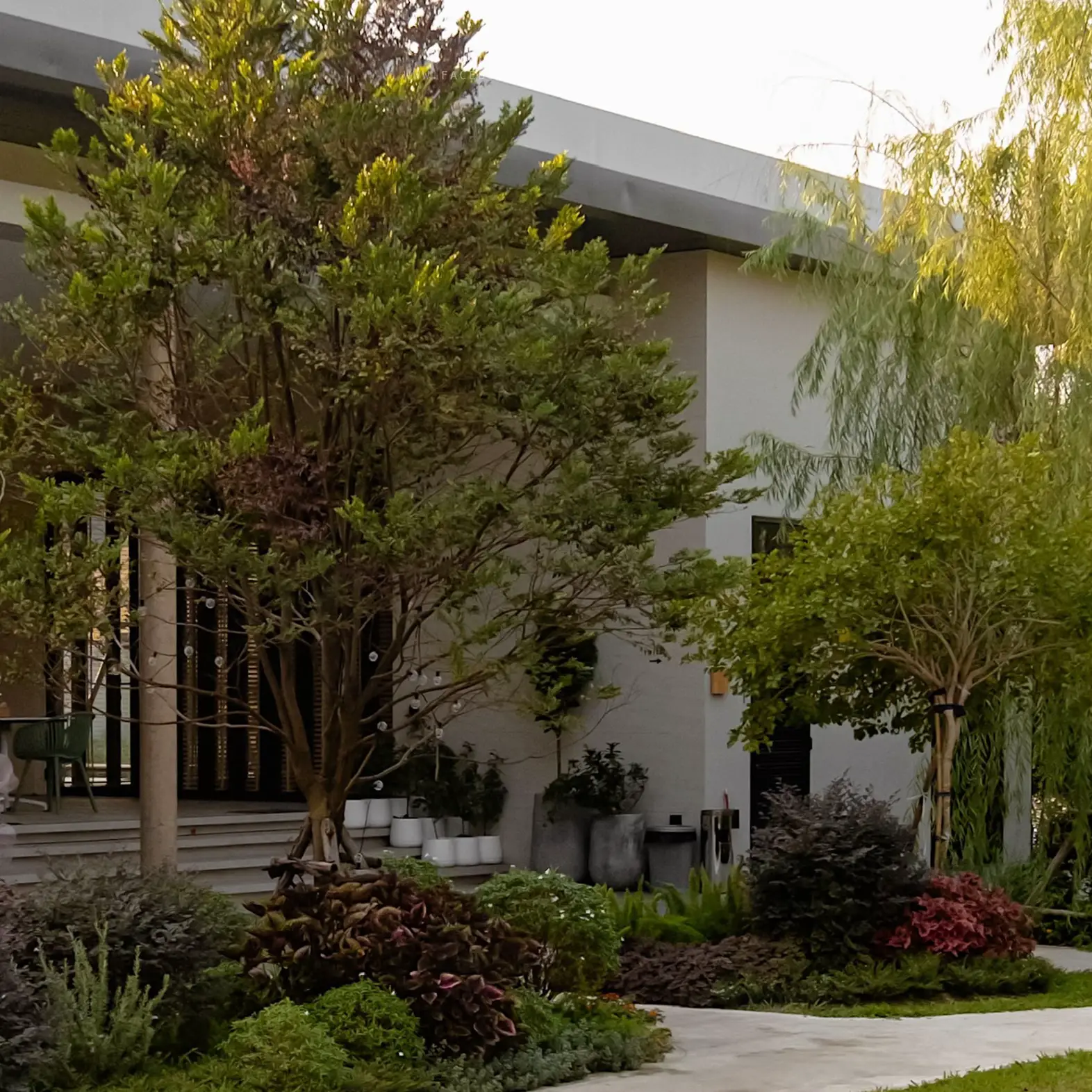 Tarine 🌳🍃☕️ | แกลเลอรีที่โพสต์โดย คาเฟ่ไปเรื่อย | Lemon8