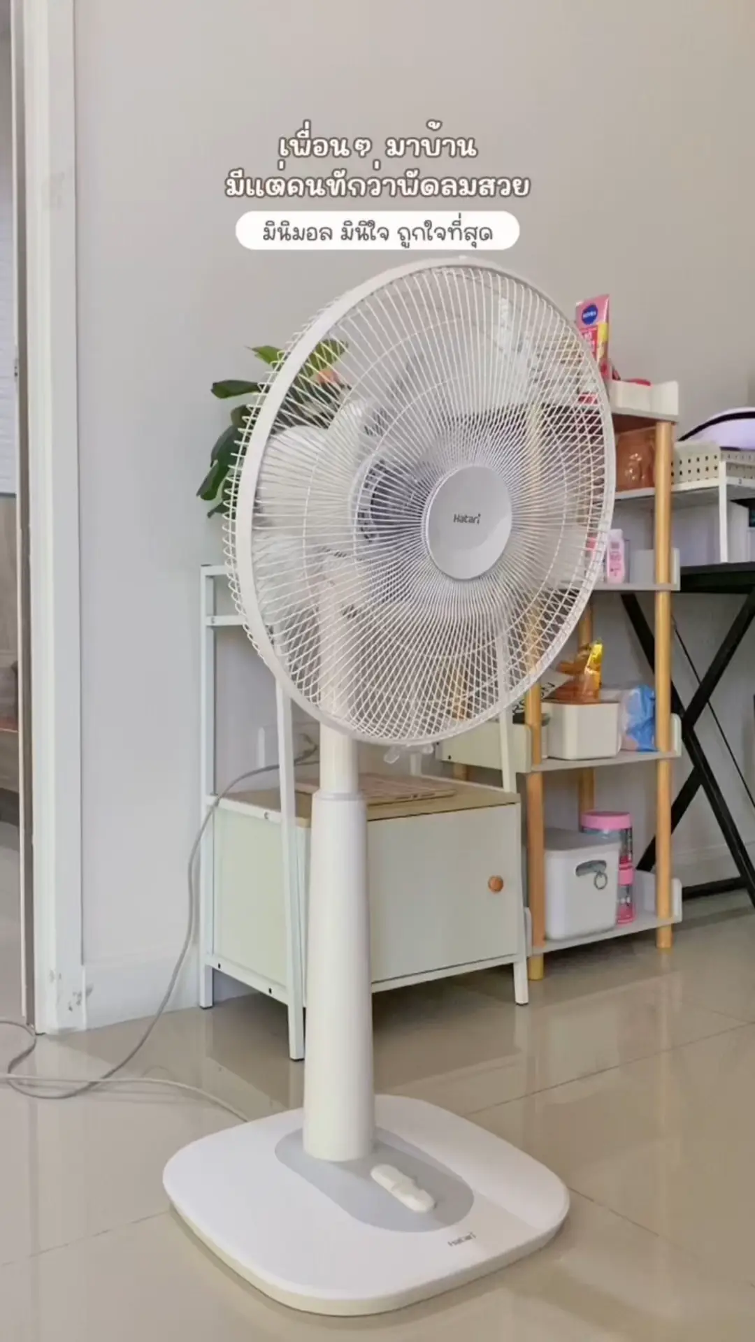 พัดลม Hatari มินิมอล 🪞 | วิดีโอที่เผยแพร่โดย SUNAN.BRAND | Lemon8