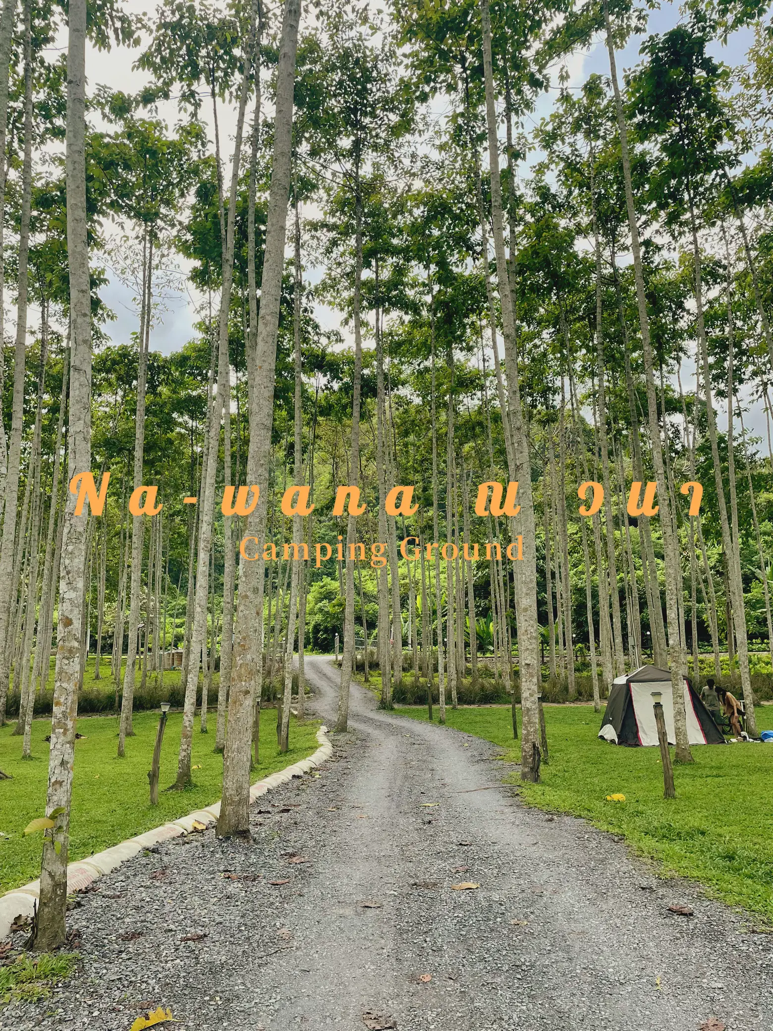 Na-wana ณ วนา | Gallery posted by Panchanok | Lemon8