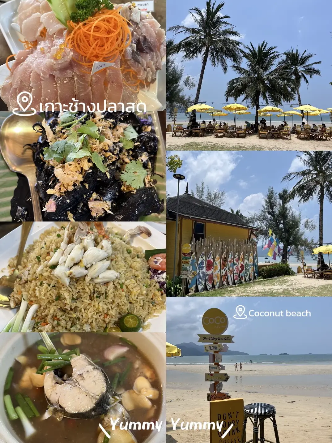 เกาะช้าง 3 วัน 2 คืน ฉบับมีรถส่วนตัว ดำน้ำ&กินฉ่ำ 🏝️🌊💙 | แกลเลอรีที่ ...