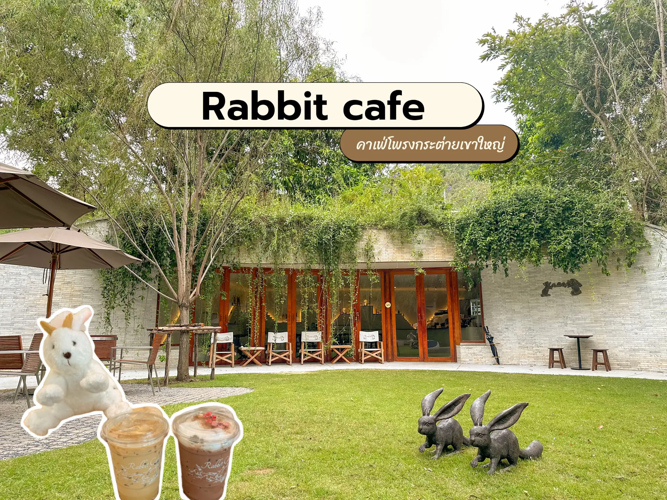 Rabbit Cafe คาเฟ่โพรงกระต่ายเขาใหญ่ 🐰💕 | แกลเลอรีที่โพสต์โดย C•K ...