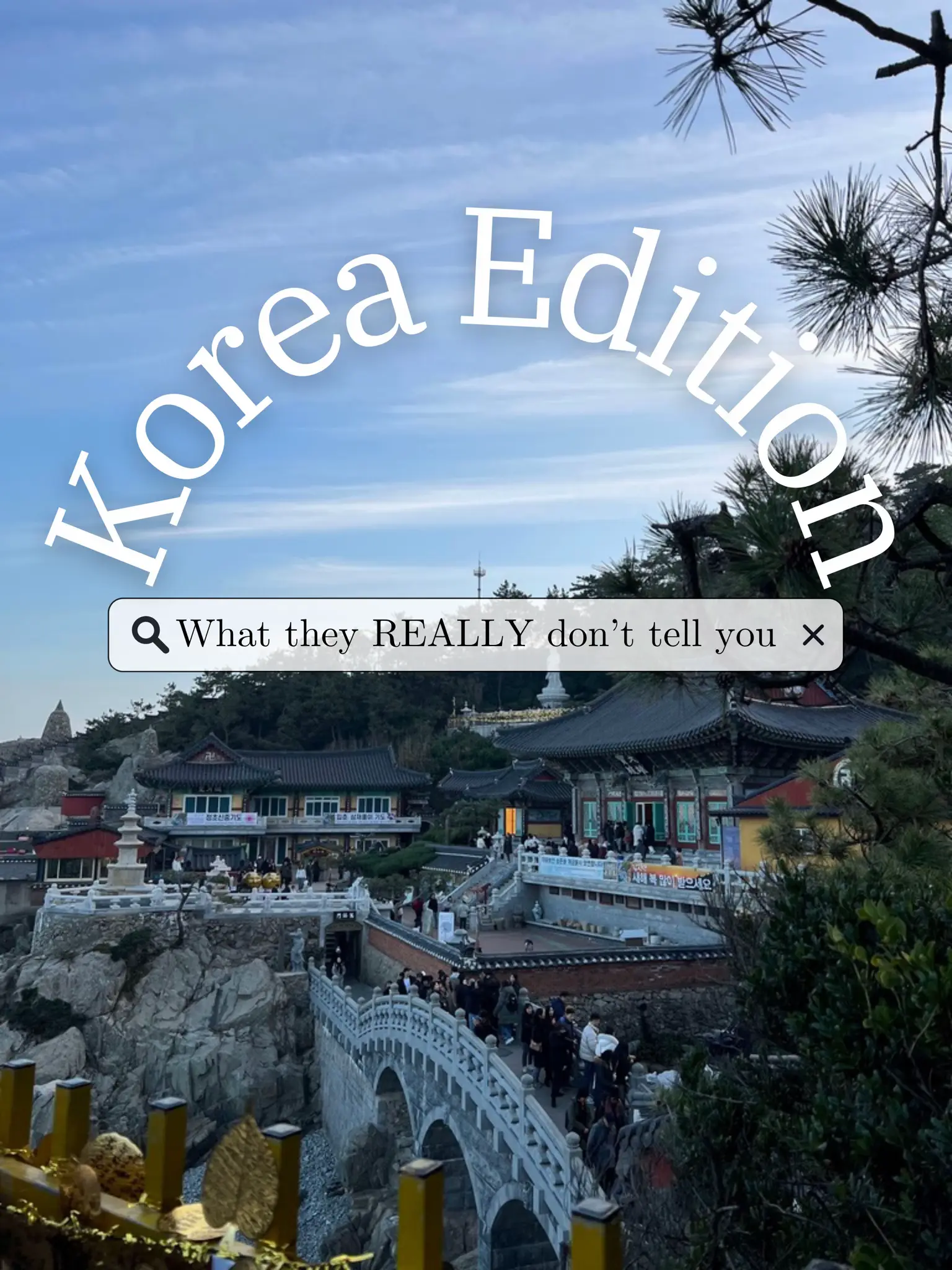 Sunoa Korea - Lemon8 Search