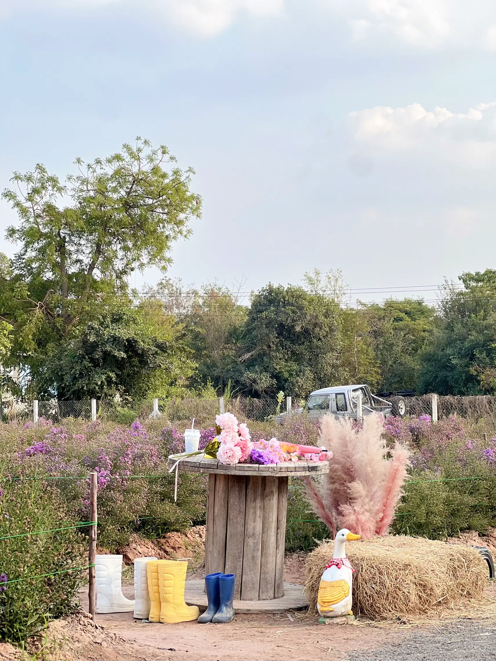 Hana Cafe’ | แกลเลอรีที่โพสต์โดย Ars Tom | Lemon8