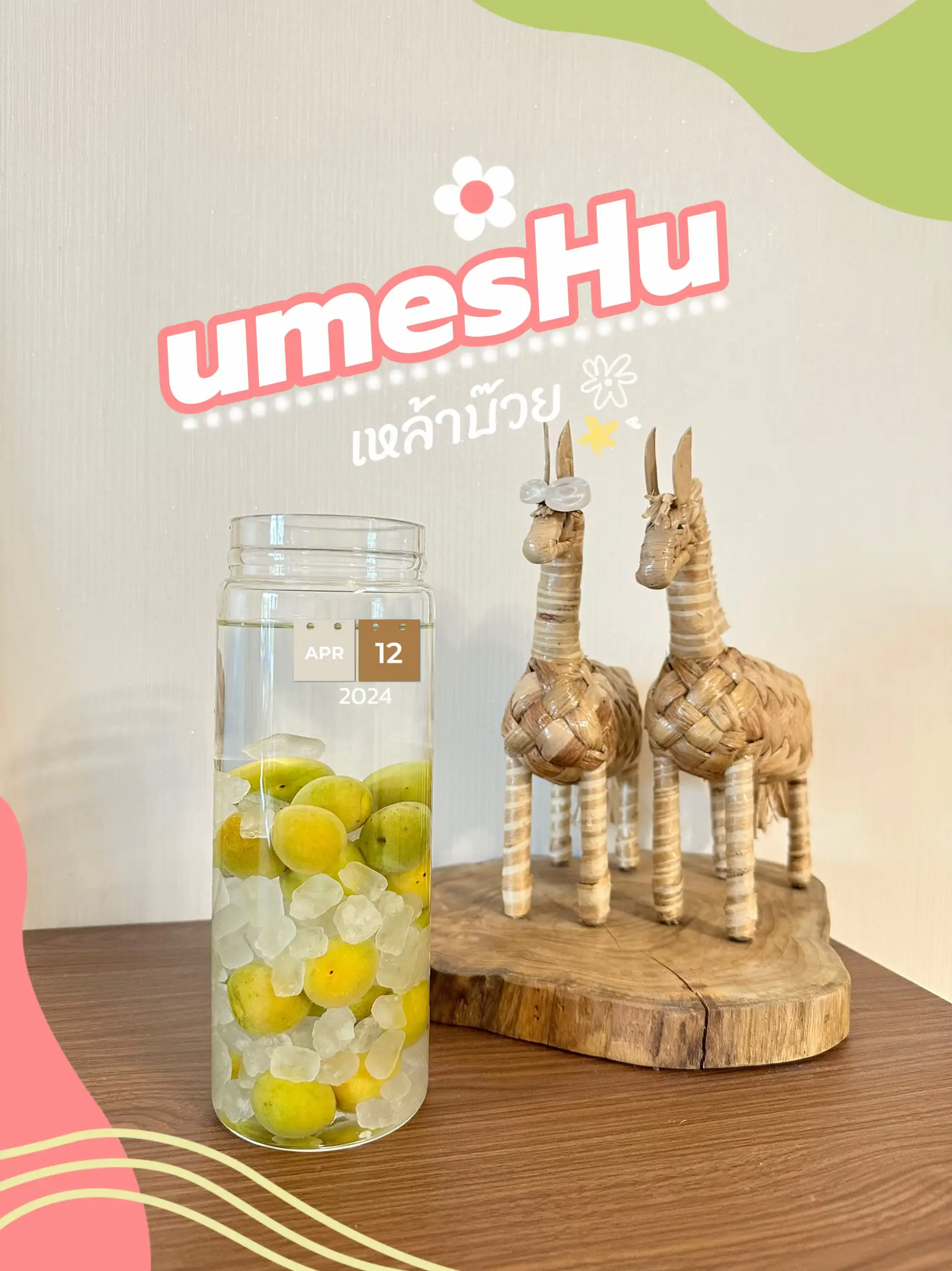 umesHu :เหล้าบ๊วยทำเอง🤤 | แกลเลอรีที่โพสต์โดย Guy | Lemon8